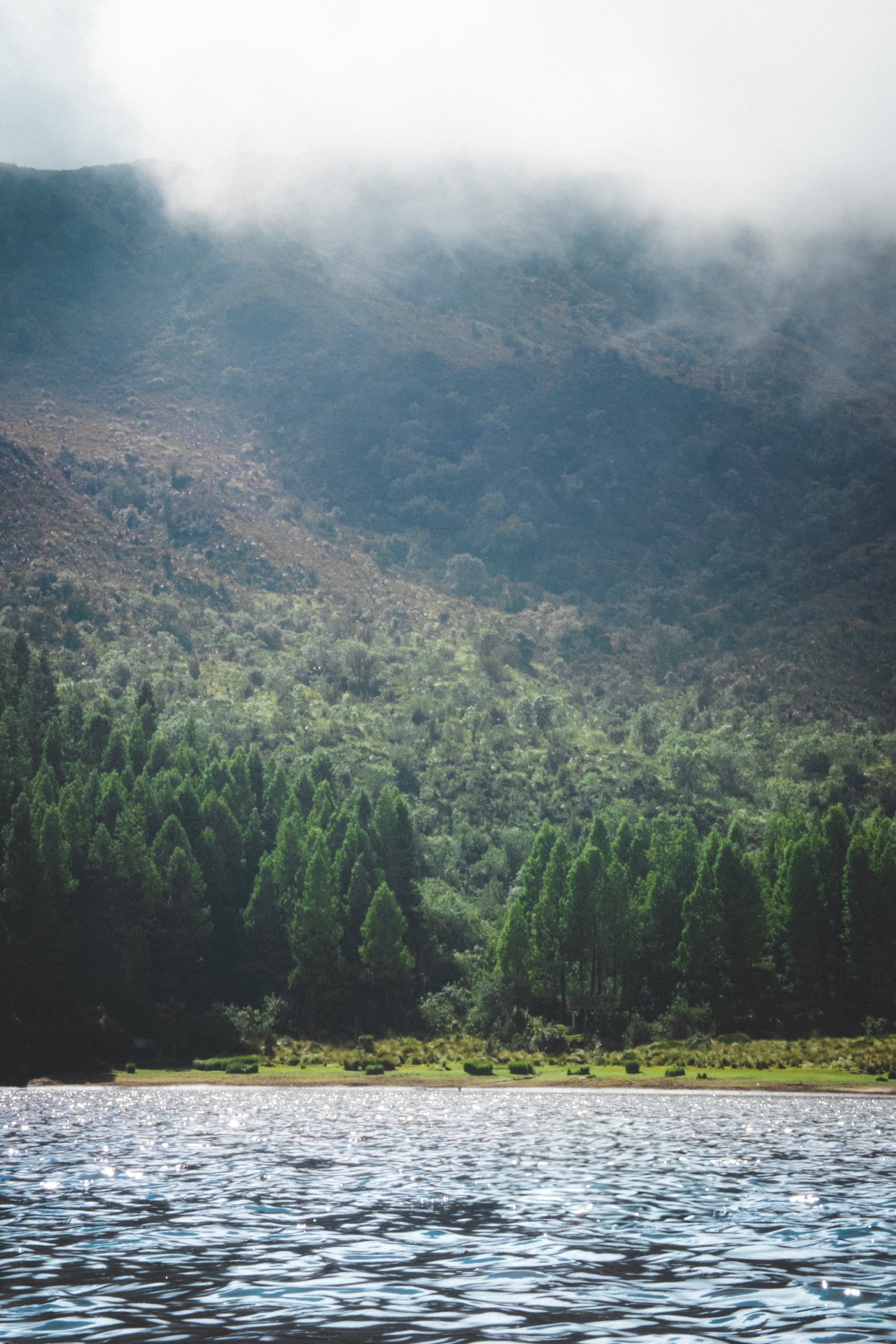 Scenic Landscape of Cañar, Ecuador · Free Stock Photo