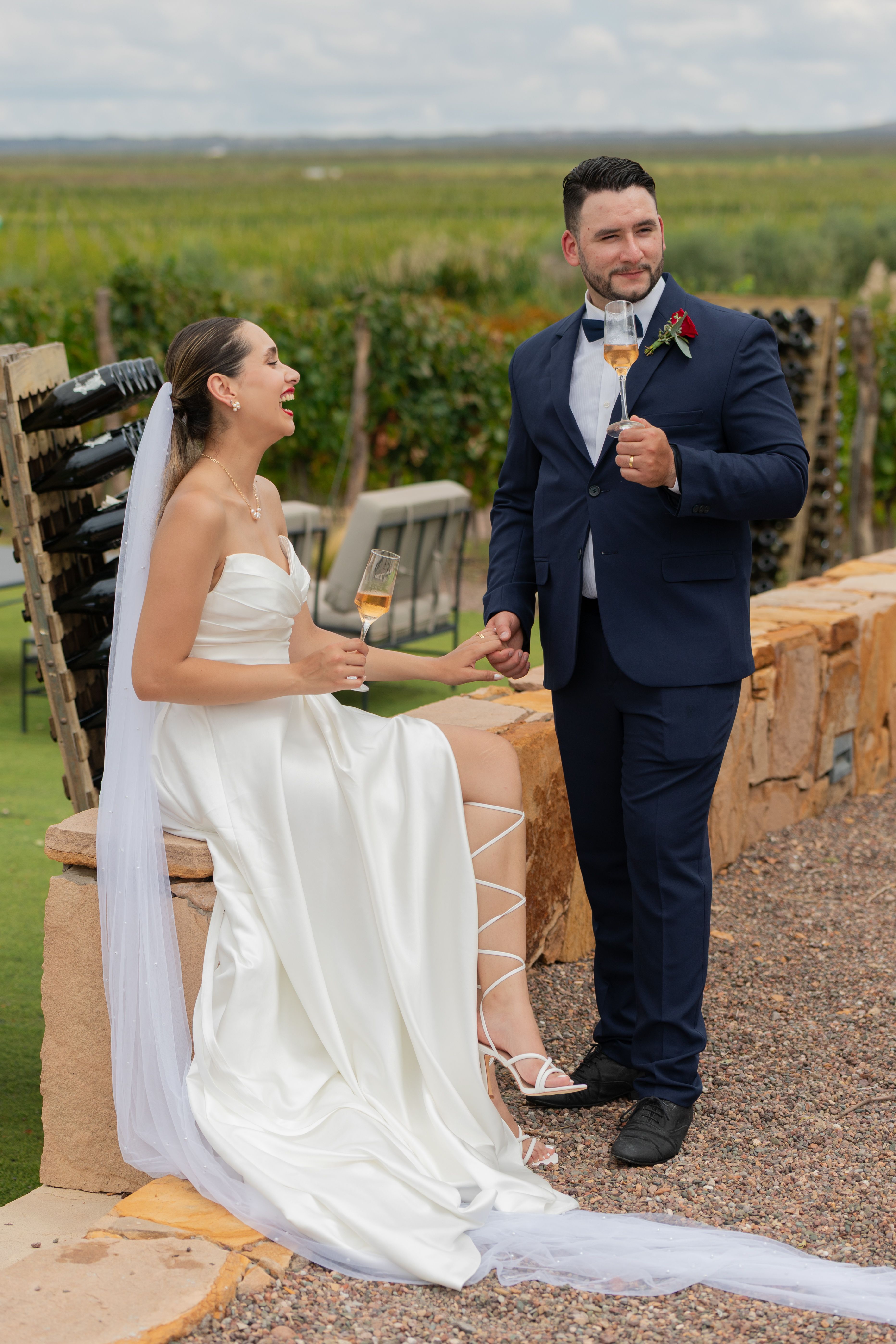 Una Alegre Pareja De Novios Brindando En Un Viñedo De Mendoza · Foto de ...