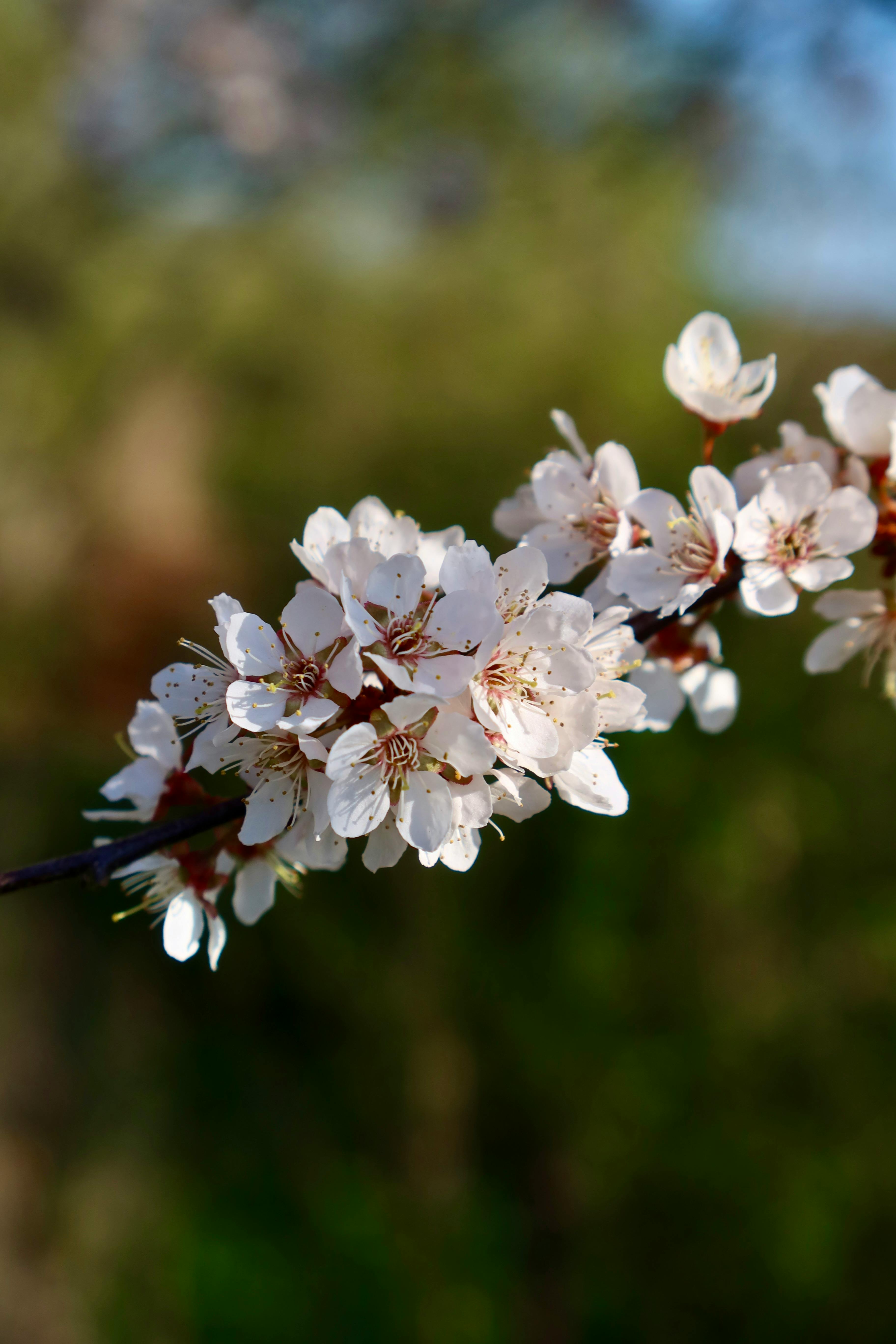 Receives Focused Sunlight Photos, Download The BEST Free Receives ...