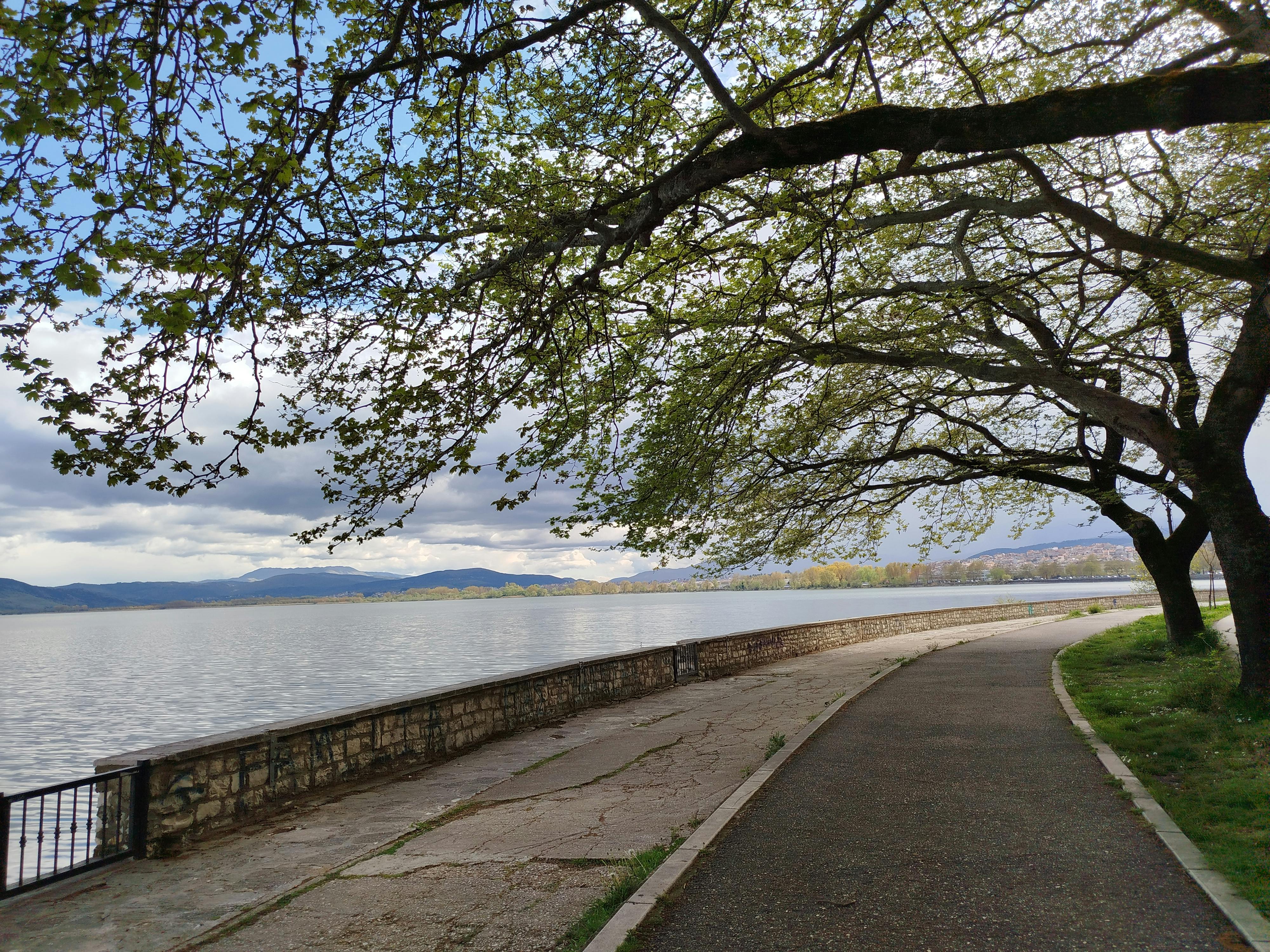 Serene Lakeside Path in Springtime · Free Stock Photo
