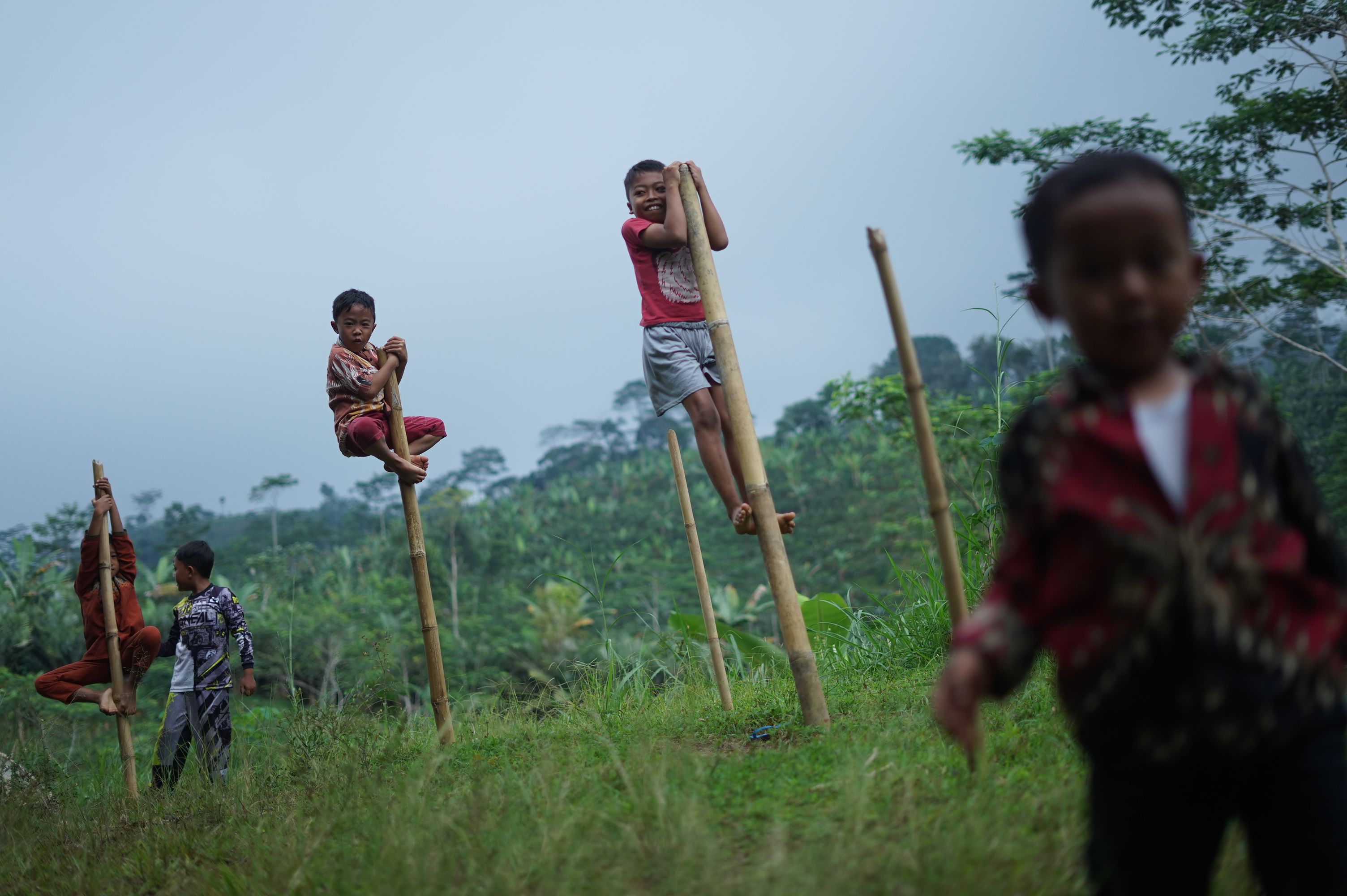Children Playing Outdoors with Bamboo Poles · Free Stock Photo