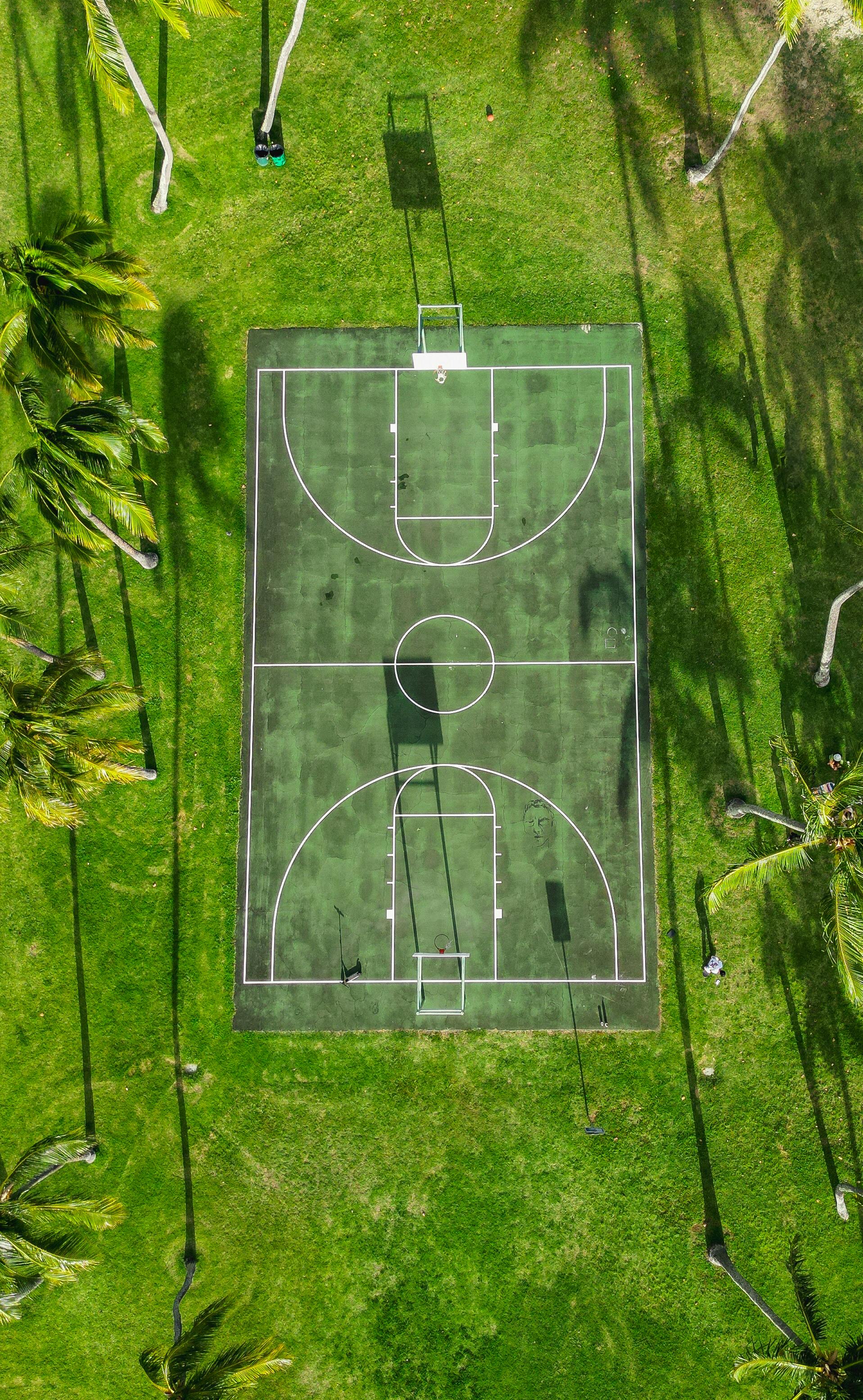 Activity Gifs Photos, Download The BEST Free Activity Gifs Stock Photos ...