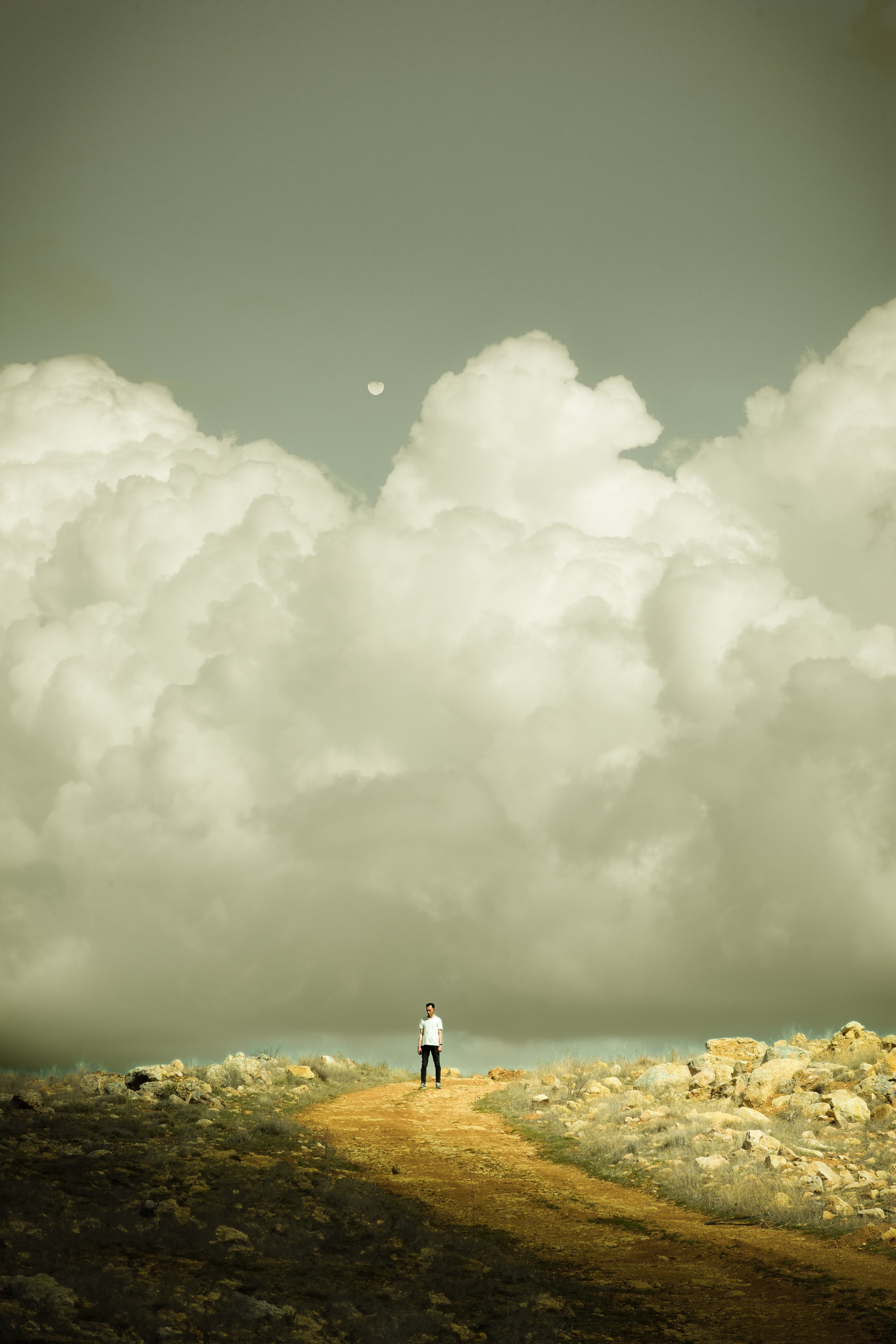 Cinematic Moon Photos, Download The BEST Free Cinematic Moon Stock ...