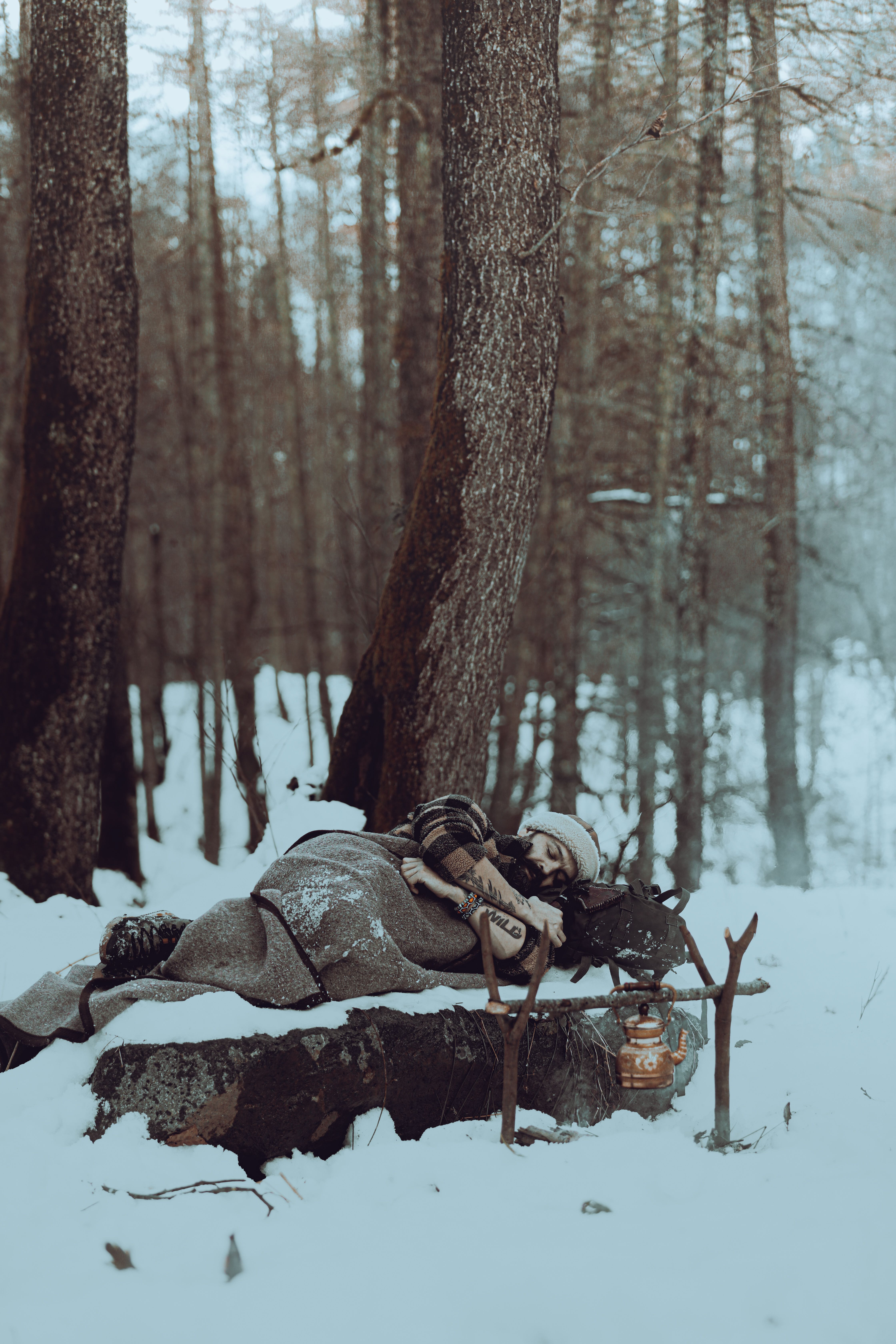 Sleeping Trees Photos, Download The BEST Free Sleeping Trees Stock ...