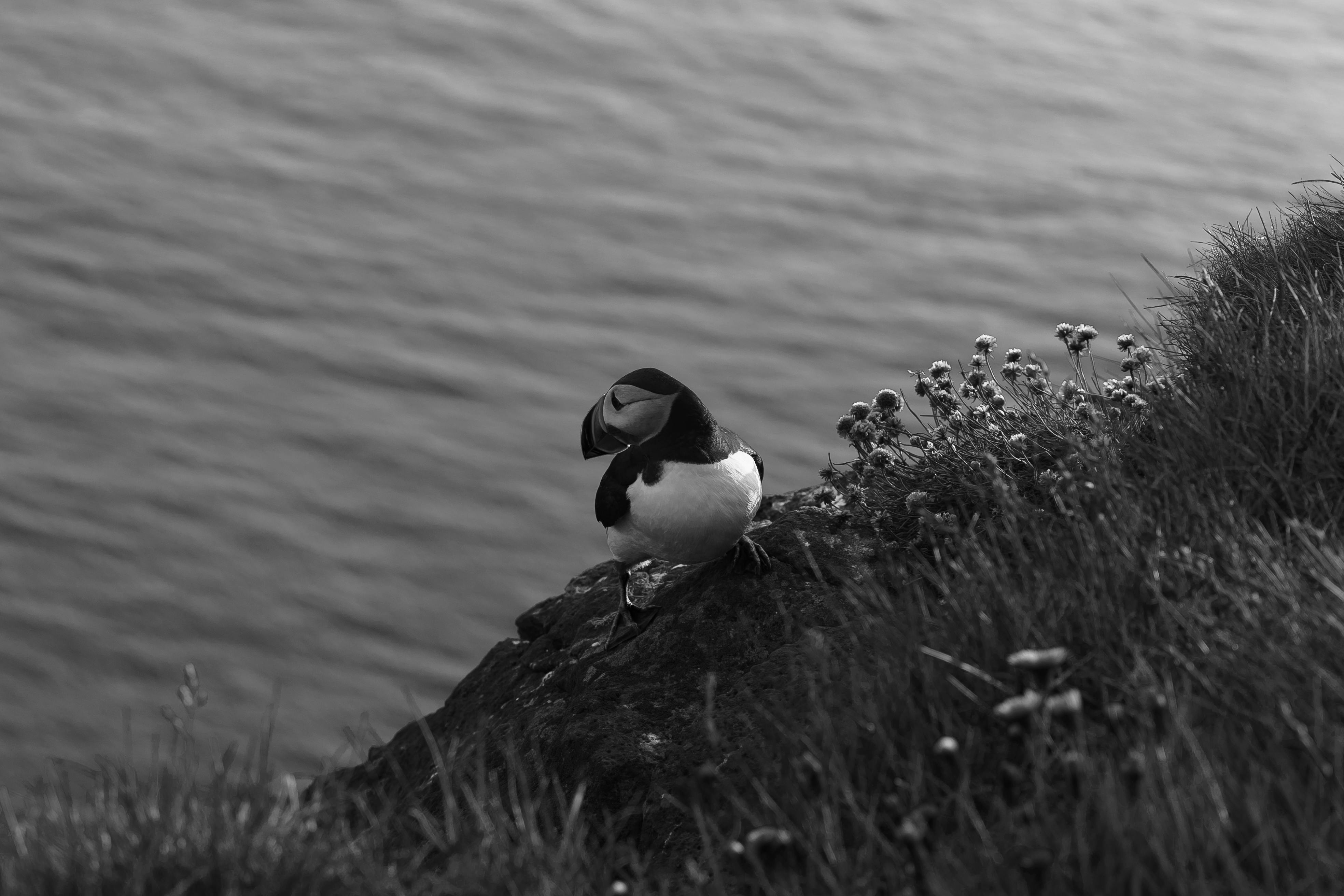 2,639+以上の無料Vbj+bjk+bjnk+bjk+bjk+b+bjnkjn++b+bjnkjnk+bjnkbjn214kbnk ...