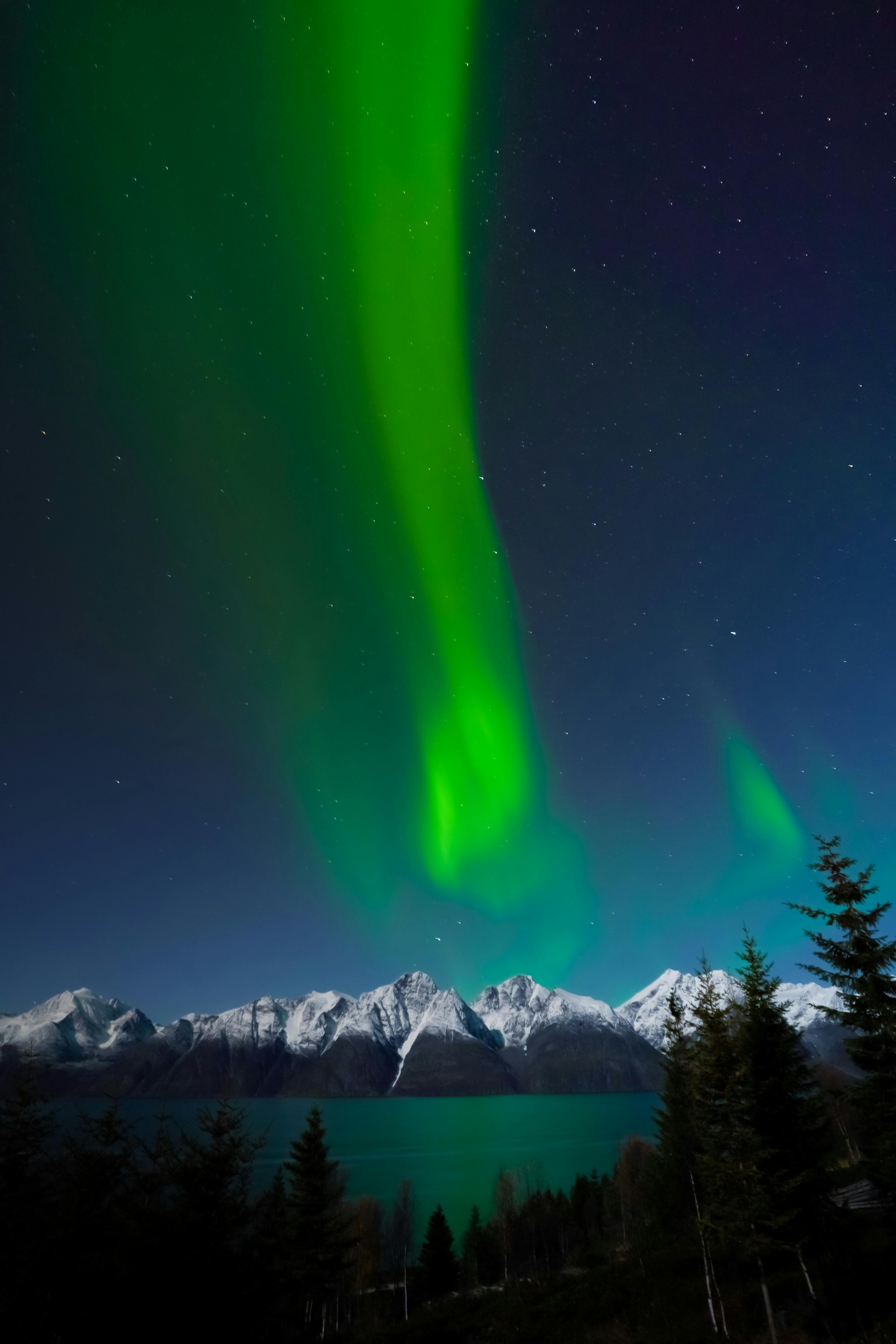 Northern Lights Over Norwegian Fjords at Night · Free Stock Photo