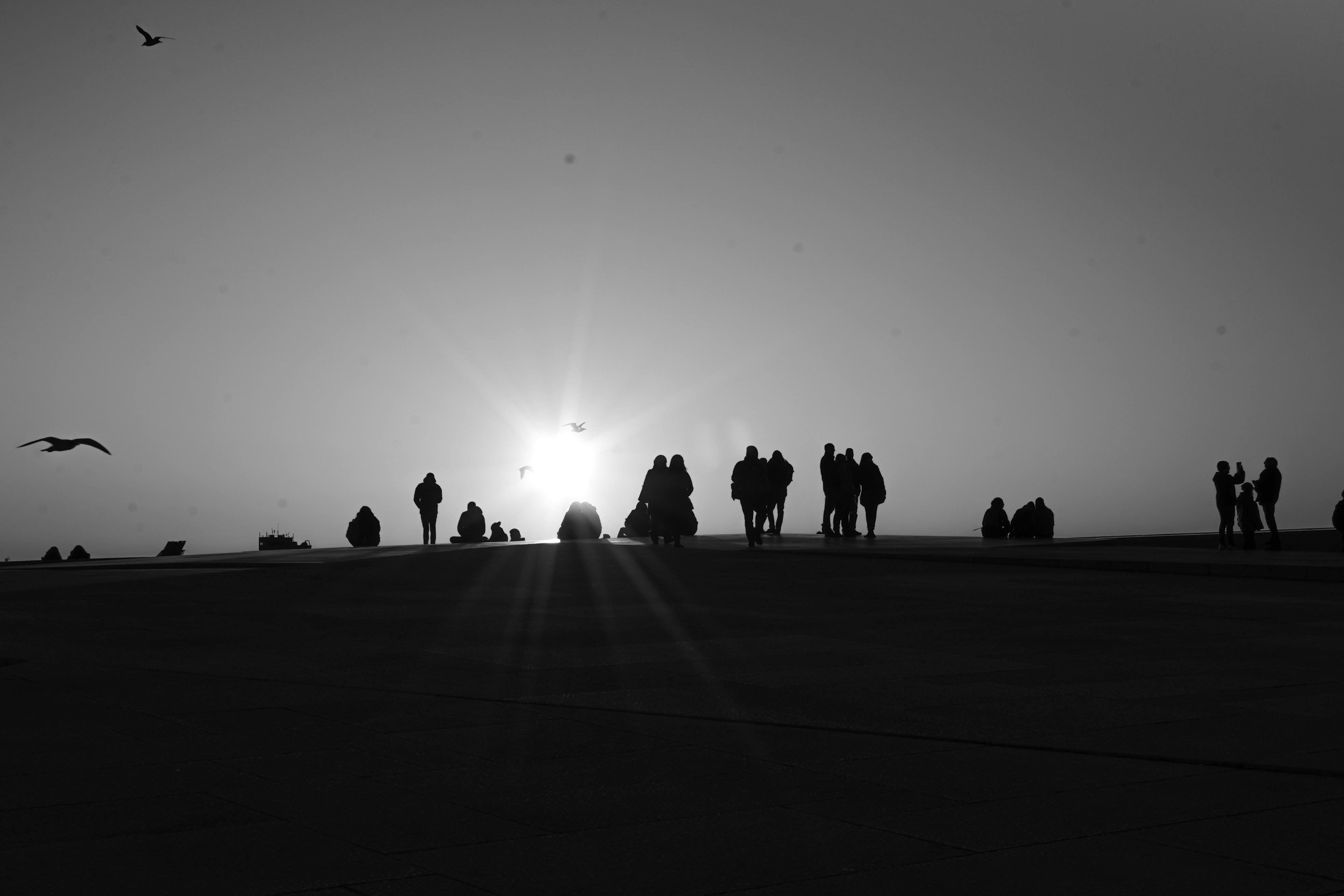 Nature Pfp Photos, Download The BEST Free Nature Pfp Stock Photos & HD ...