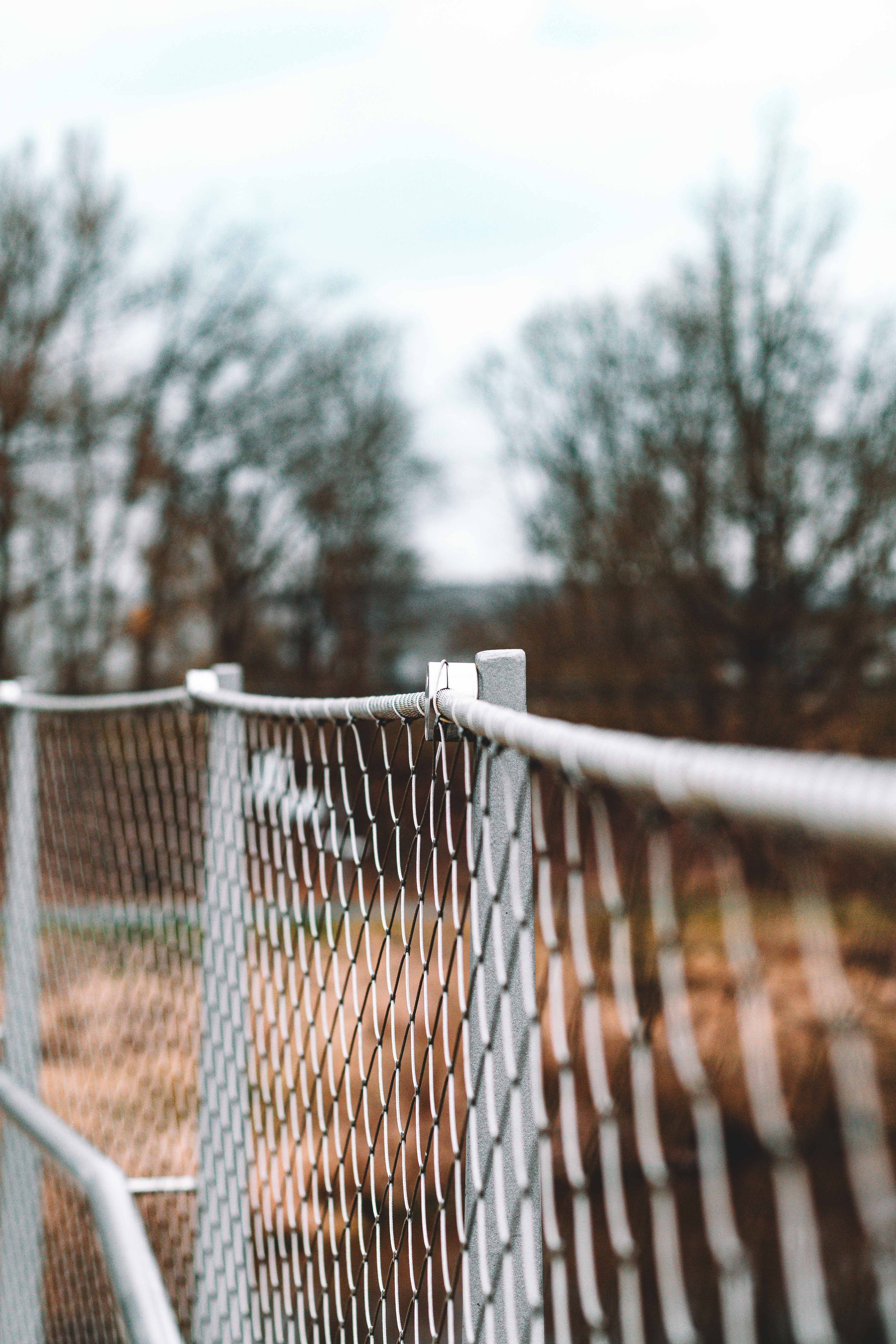 Minimalist Wire Fence Against Blurred Trees · Free Stock Photo