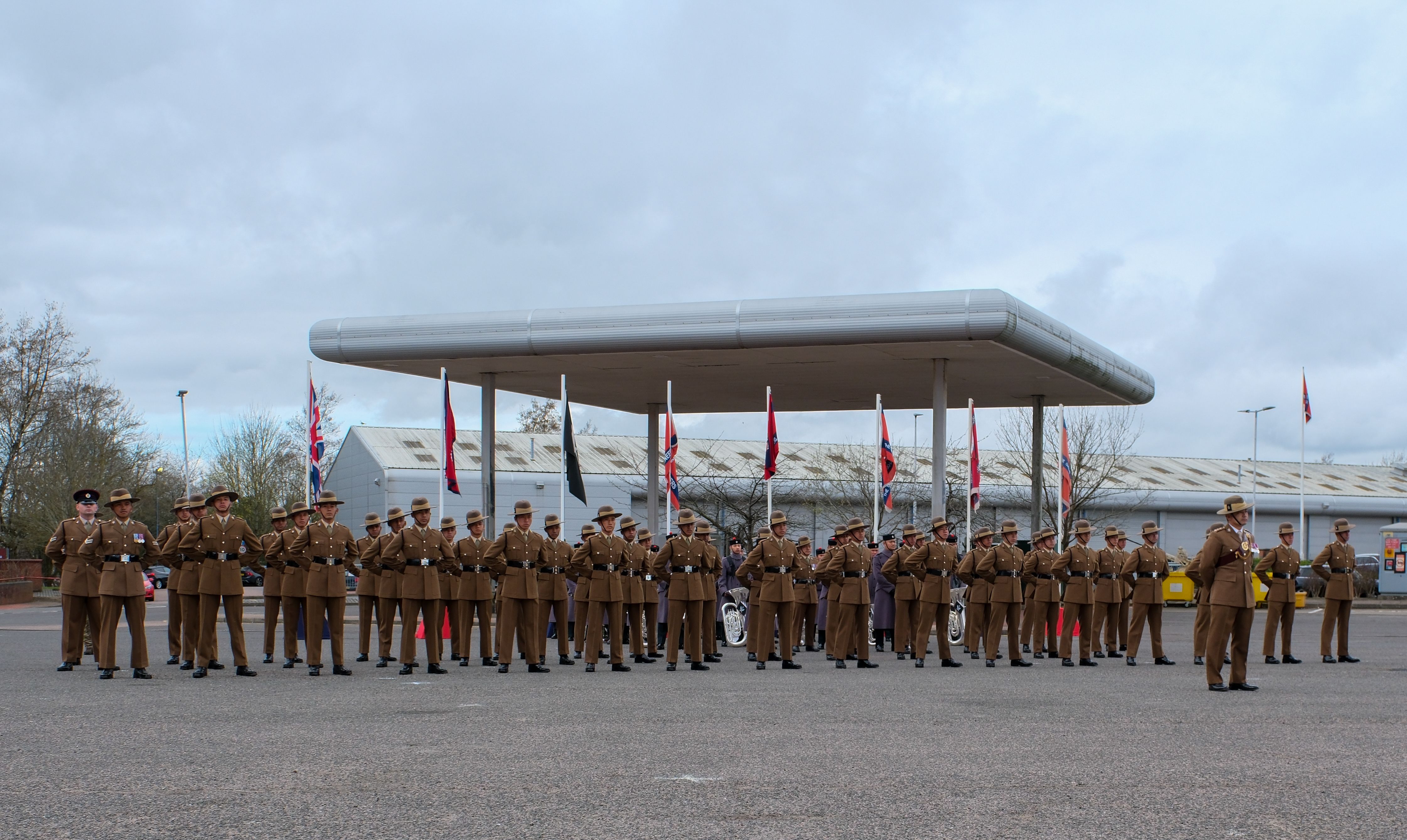 Military Discipline Photos, Download The BEST Free Military Discipline ...