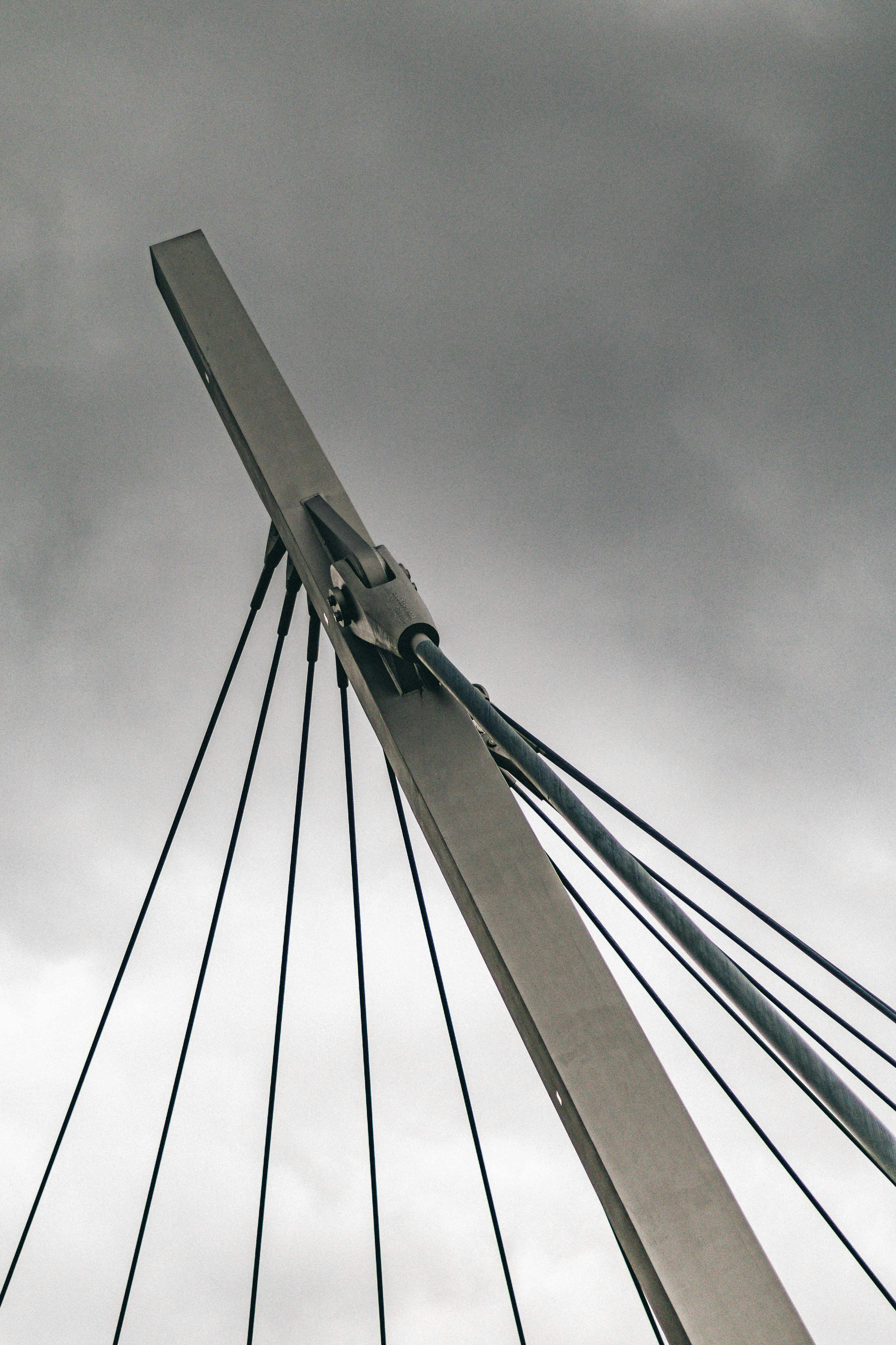 Dramatic View of Modern Suspension Bridge Cables · Free Stock Photo