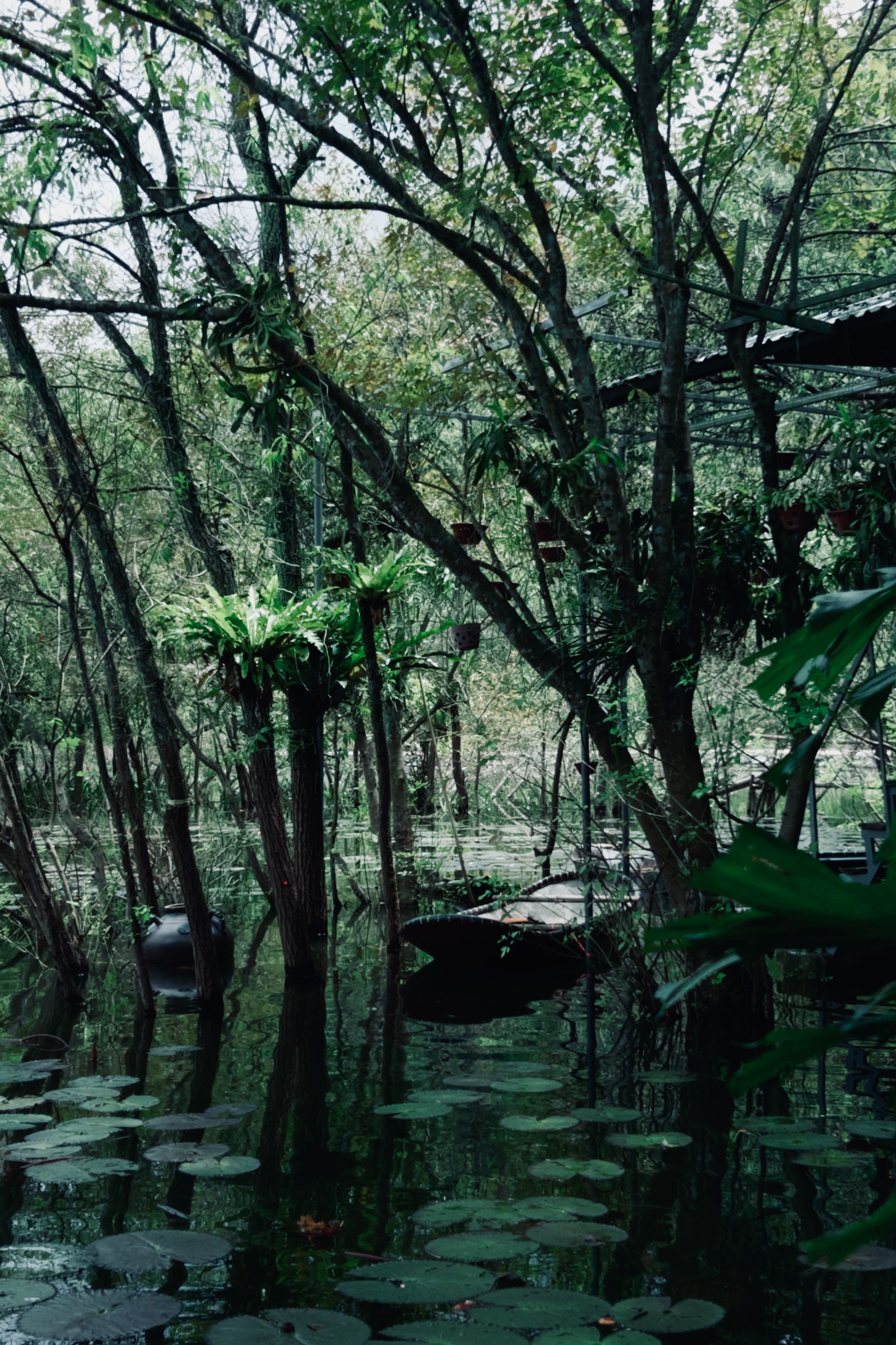 River on Marsh · Free Stock Photo