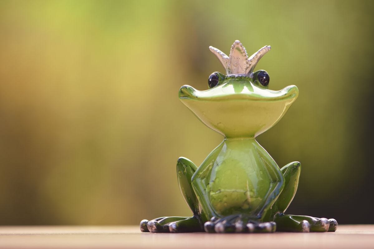 Cute Frog Photos, Download The BEST Free Cute Frog Stock Photos & HD Images