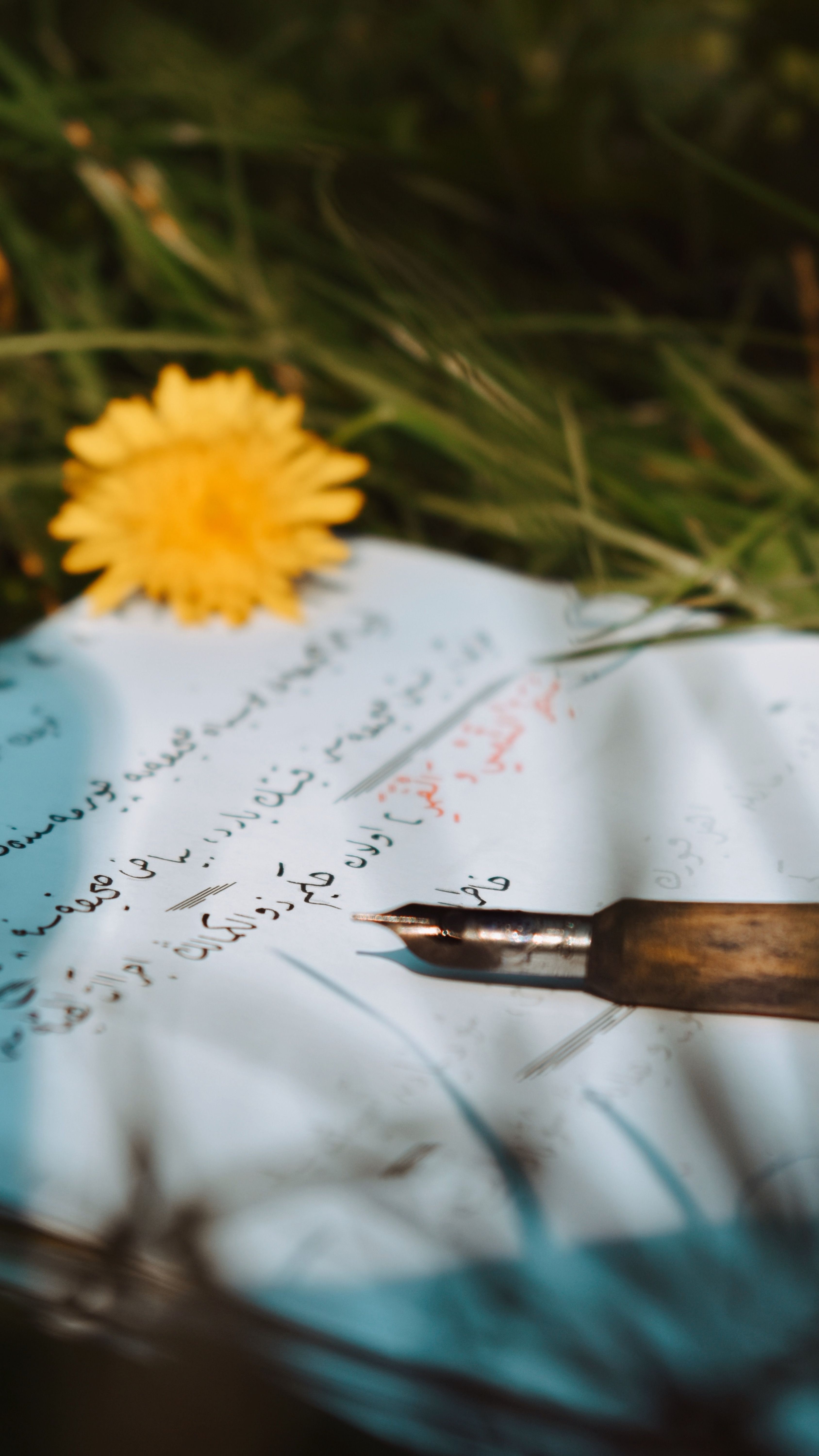 Rumi Nakec Poetry Photos, Download The BEST Free Rumi Nakec Poetry ...