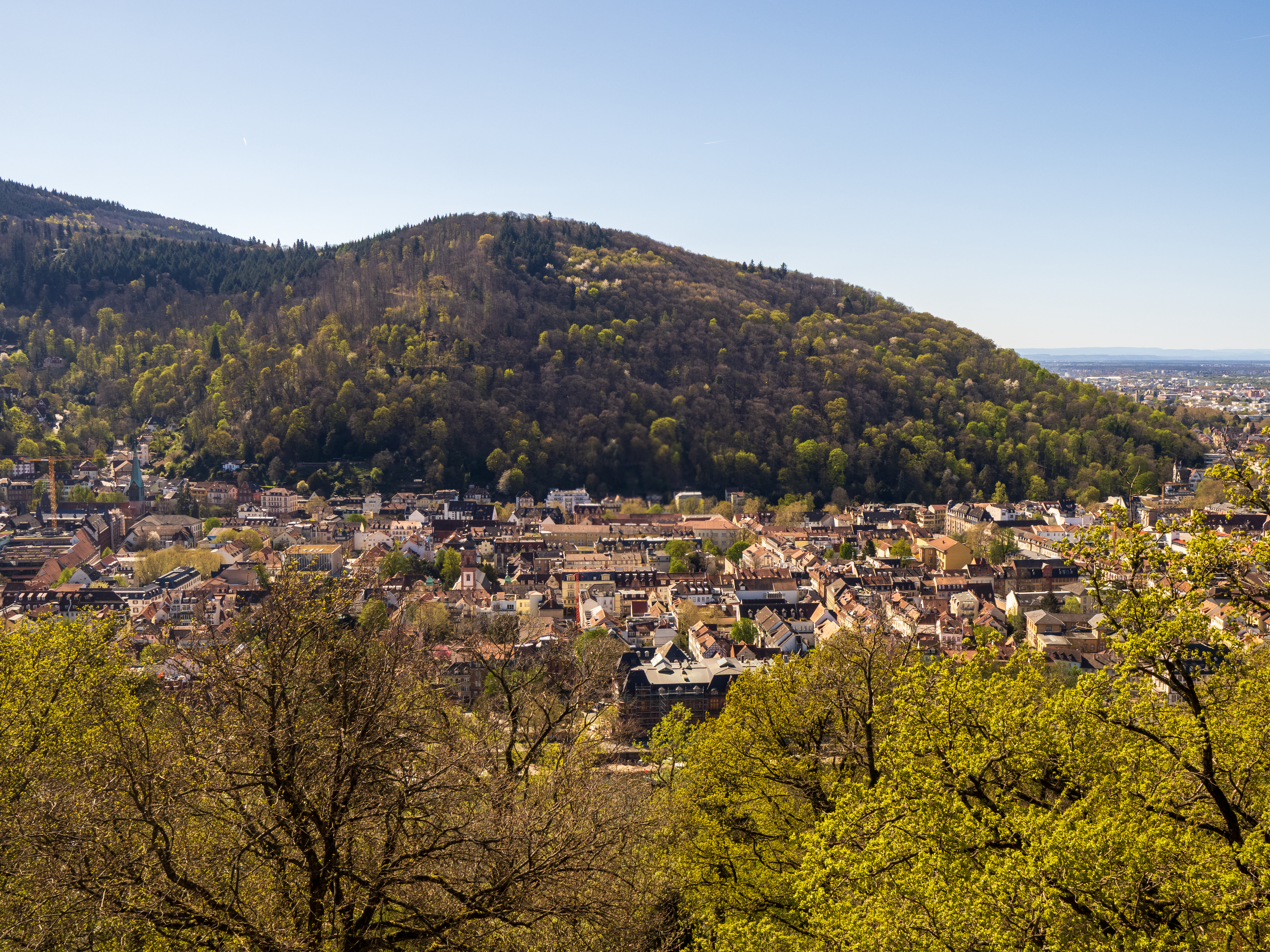 Aerial View of Heidelberg with Scenic Hillside · Free Stock Photo