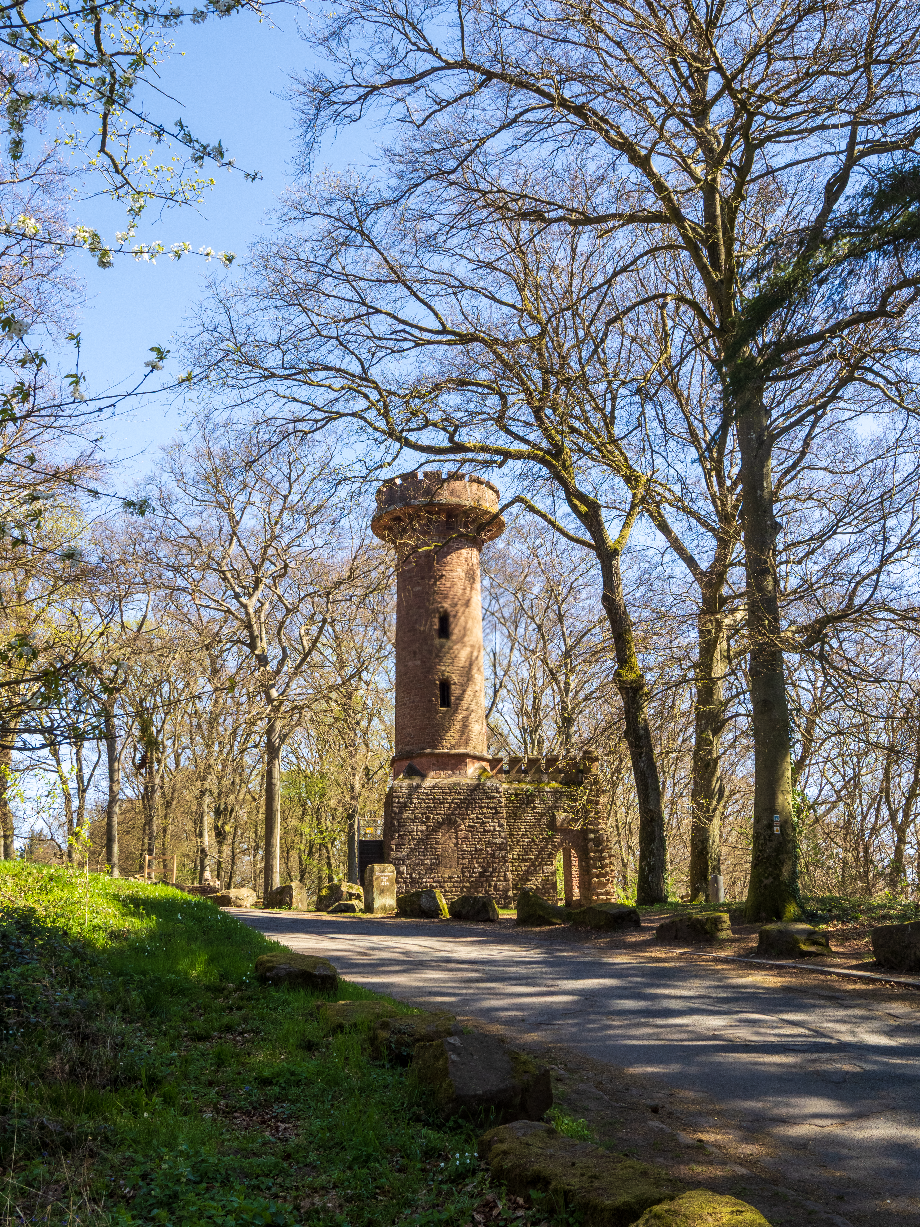 Historic Tower in Scenic Woodland Setting · Free Stock Photo
