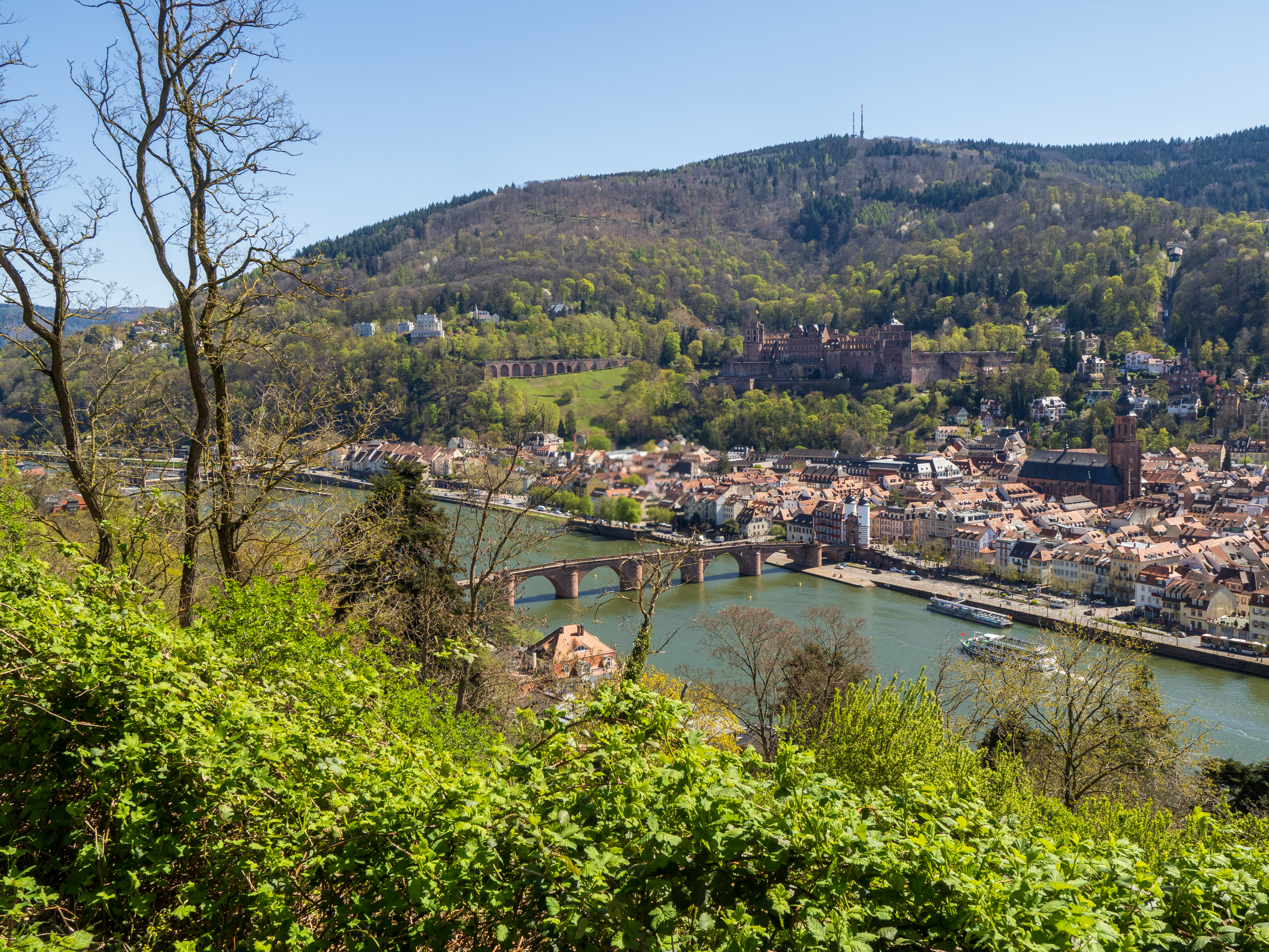 Heidelberg Castle and Neckar River Scenic View · Free Stock Photo