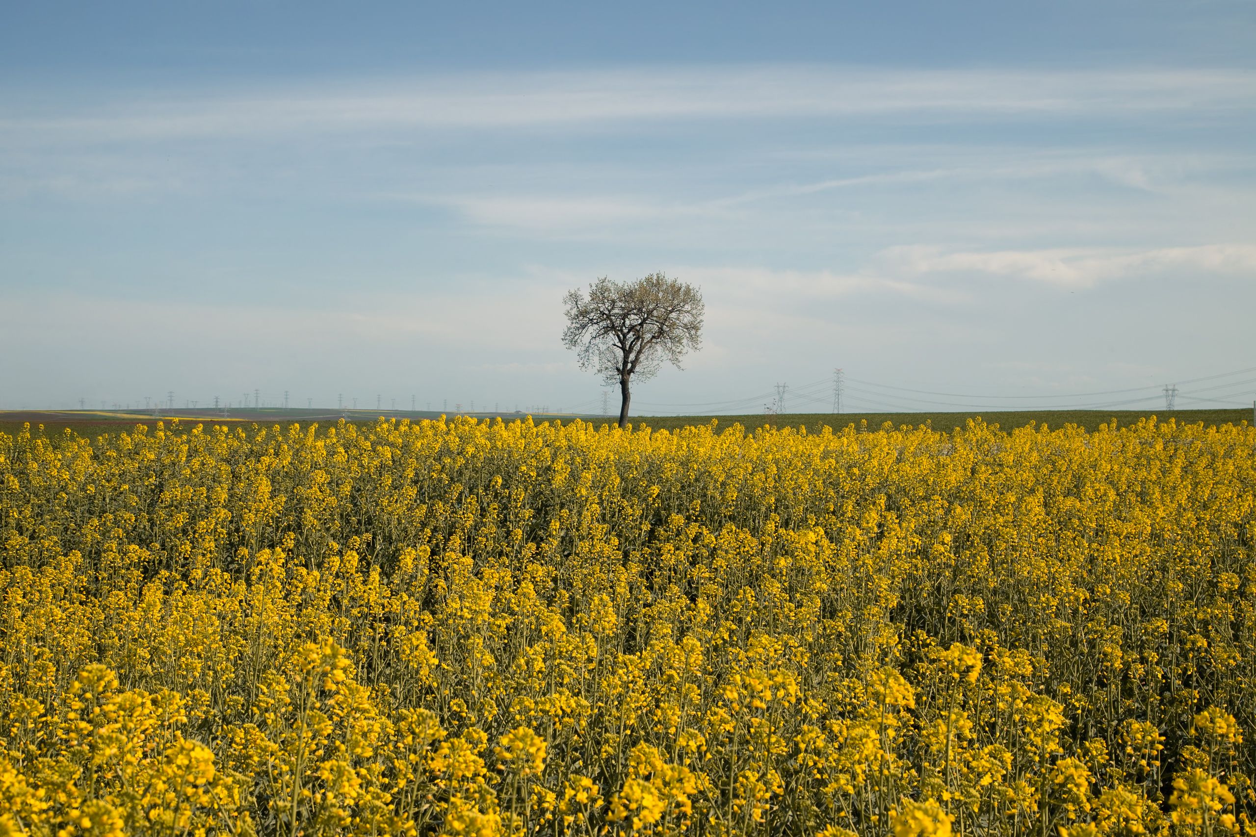 Iye Photos, Download The BEST Free Iye Stock Photos & HD Images
