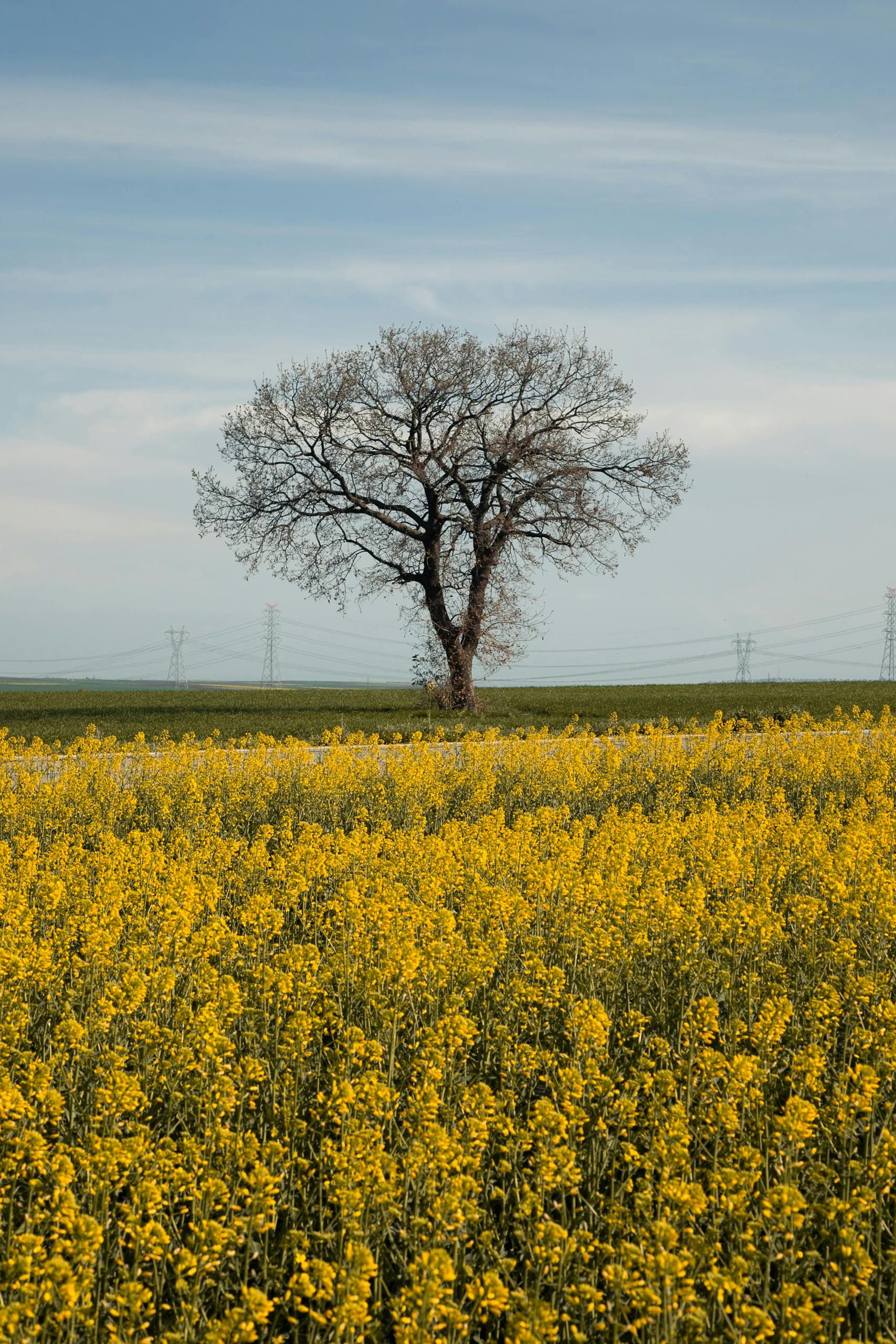 Hit Wallpaper Photos, Download The BEST Free Hit Wallpaper Stock Photos ...