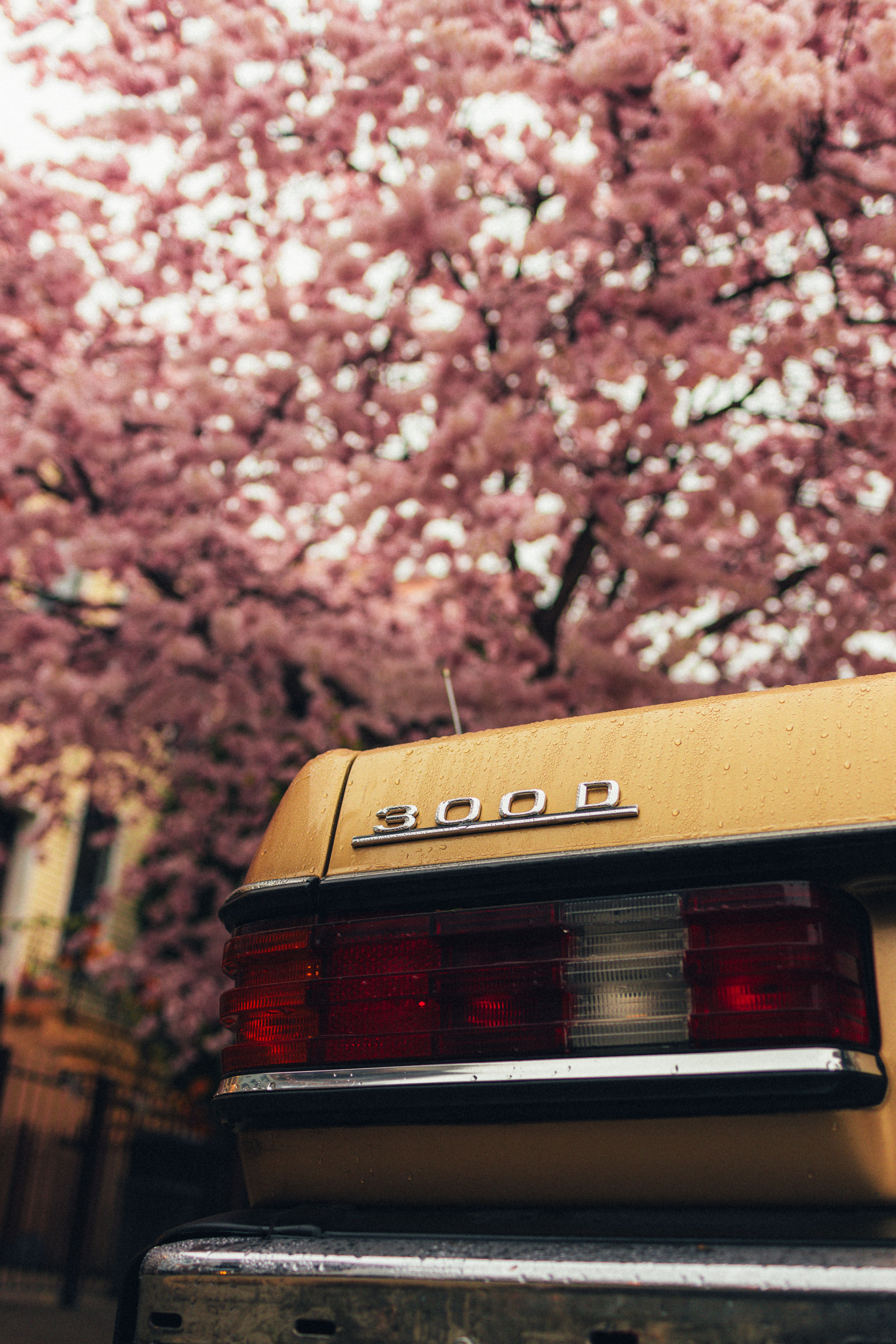 Vintage Car with Cherry Blossom in Springtime · Free Stock Photo