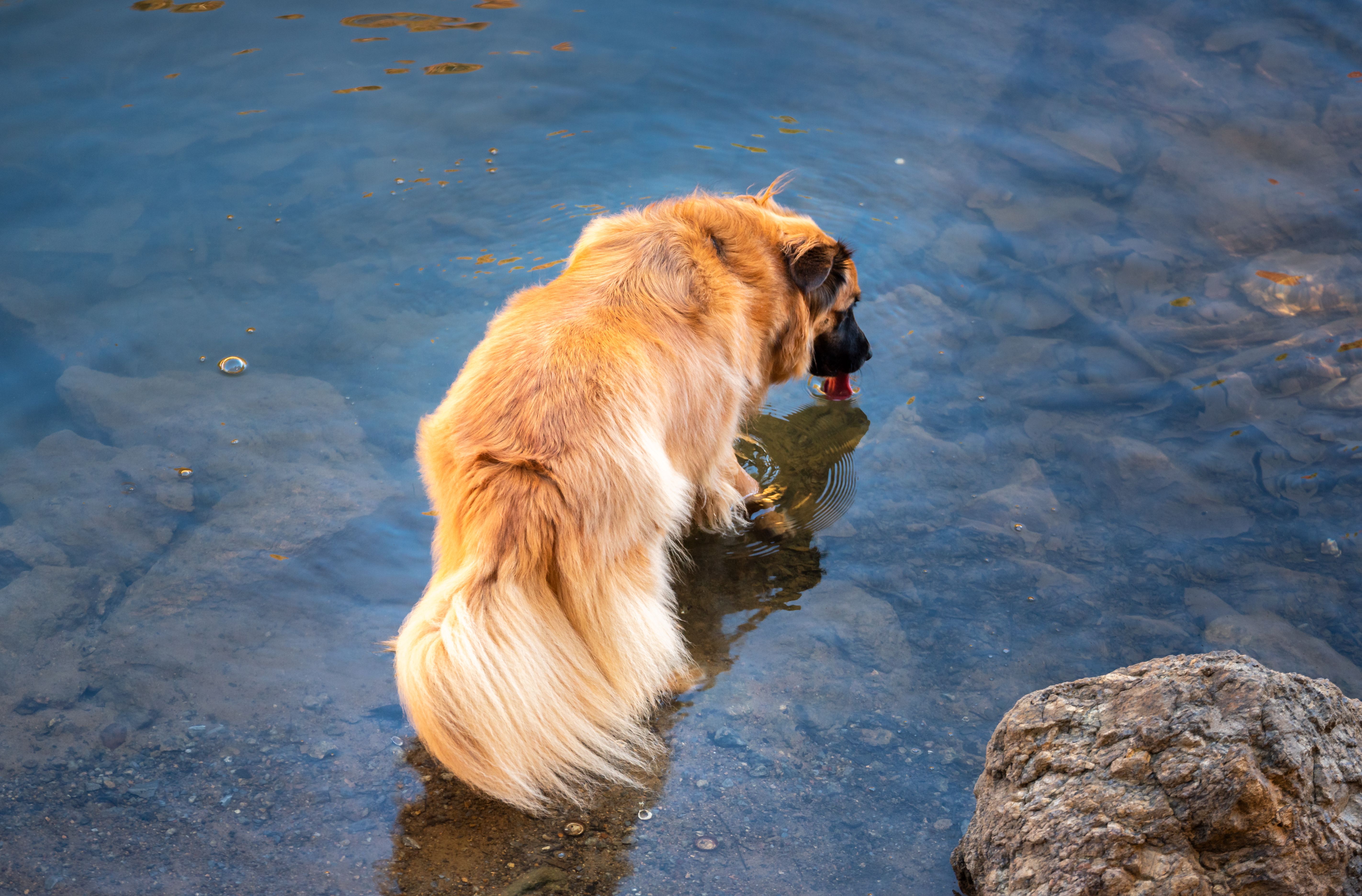 Refreshing Drinking Water Photos, Download The BEST Free Refreshing ...
