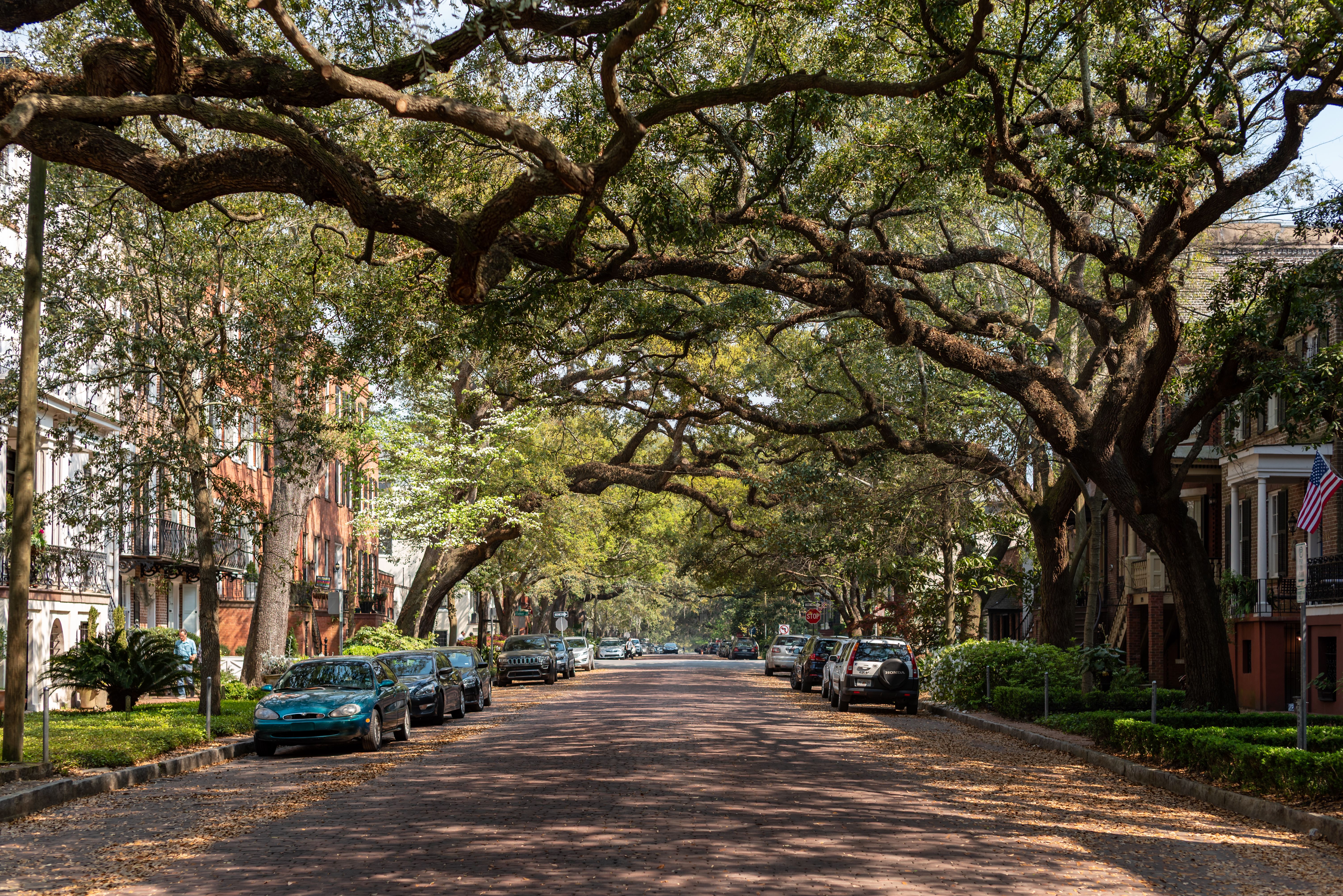 Charming Historic Street in Savannah, Georgia · Free Stock Photo