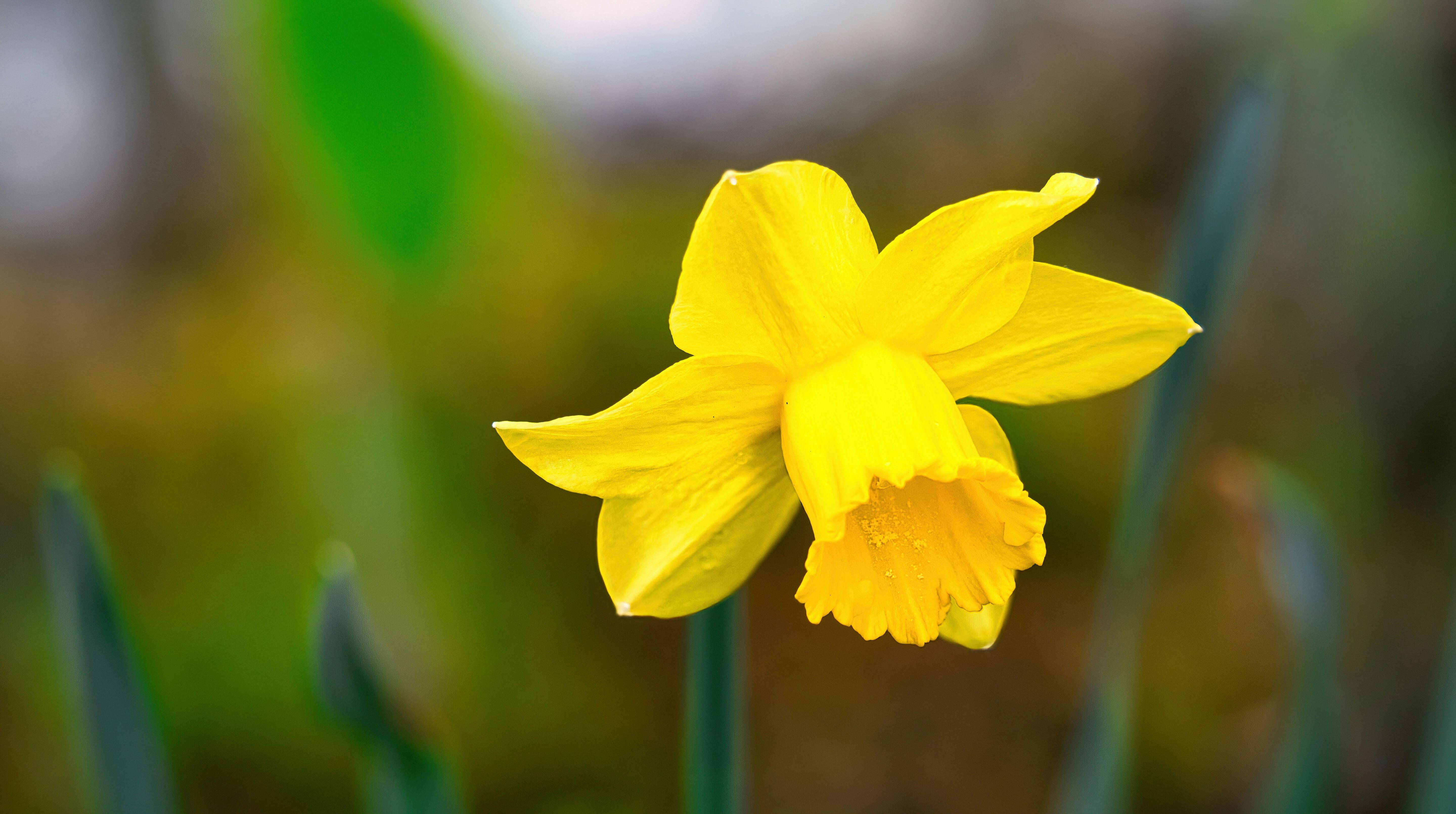 Annual Deliverables Photos, Download The BEST Free Annual Deliverables ...