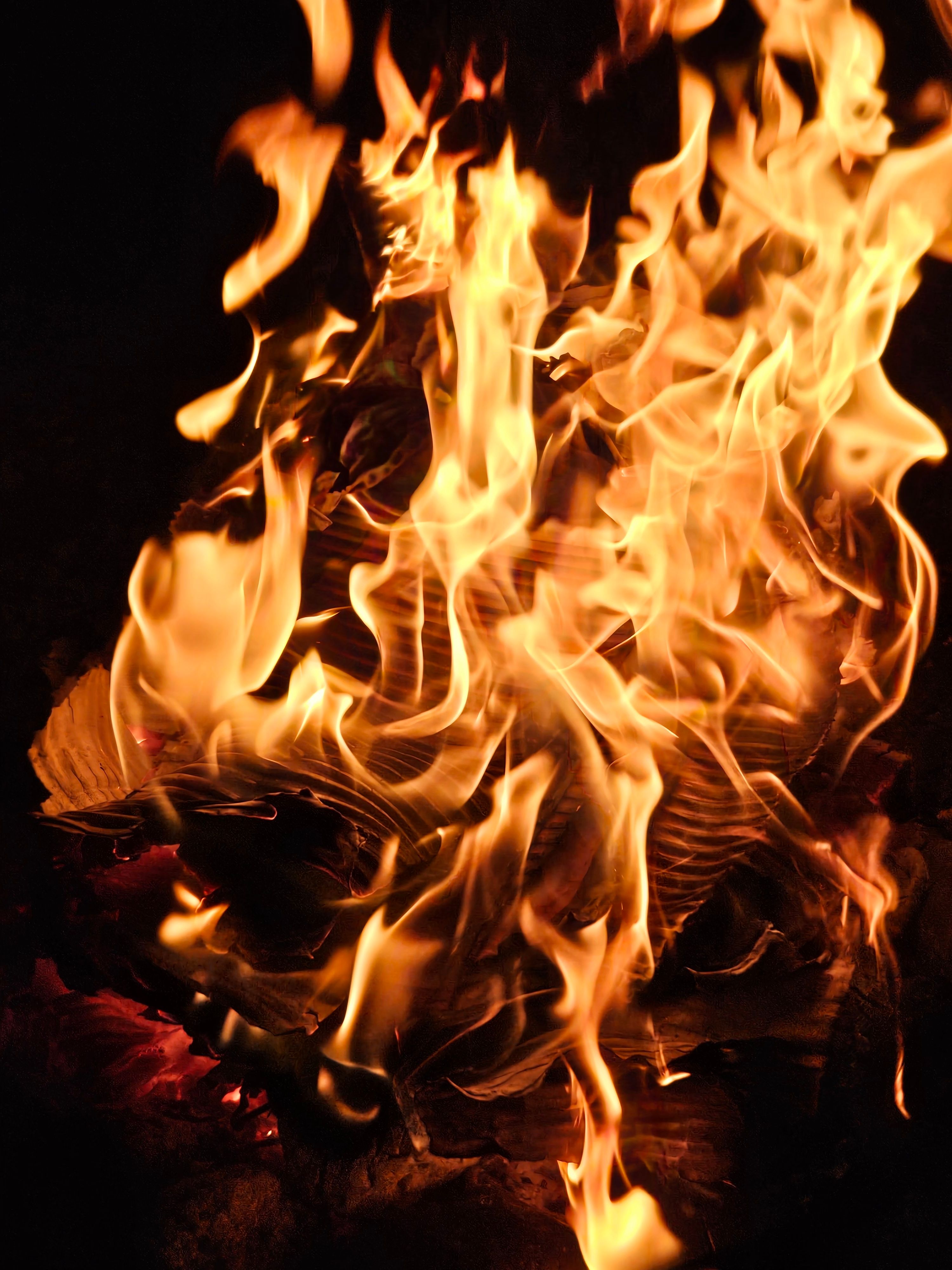 Red and Orange Fire · Free Stock Photo