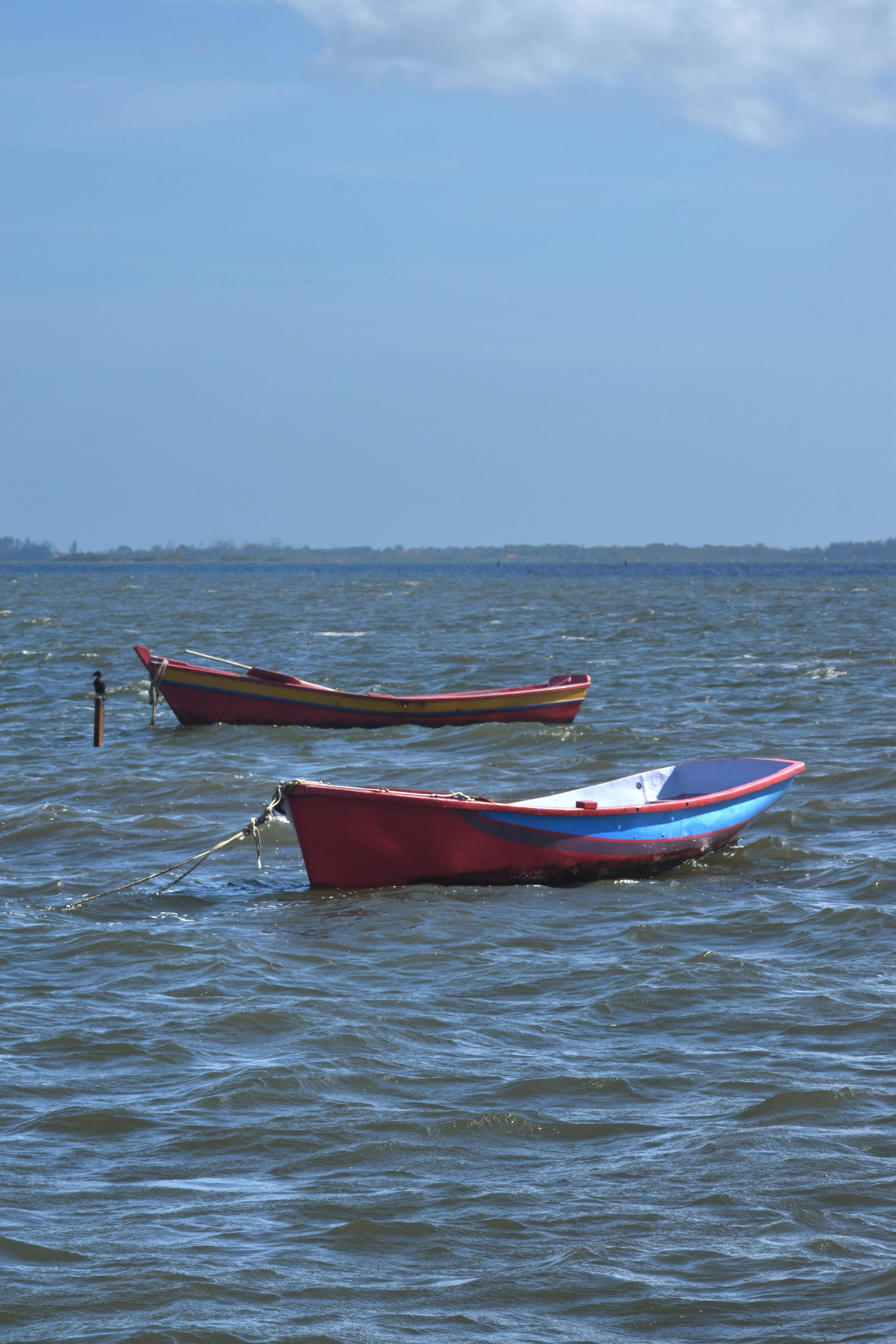 Colorful Rowboats Floating on Tranquil Waters · Free Stock Photo