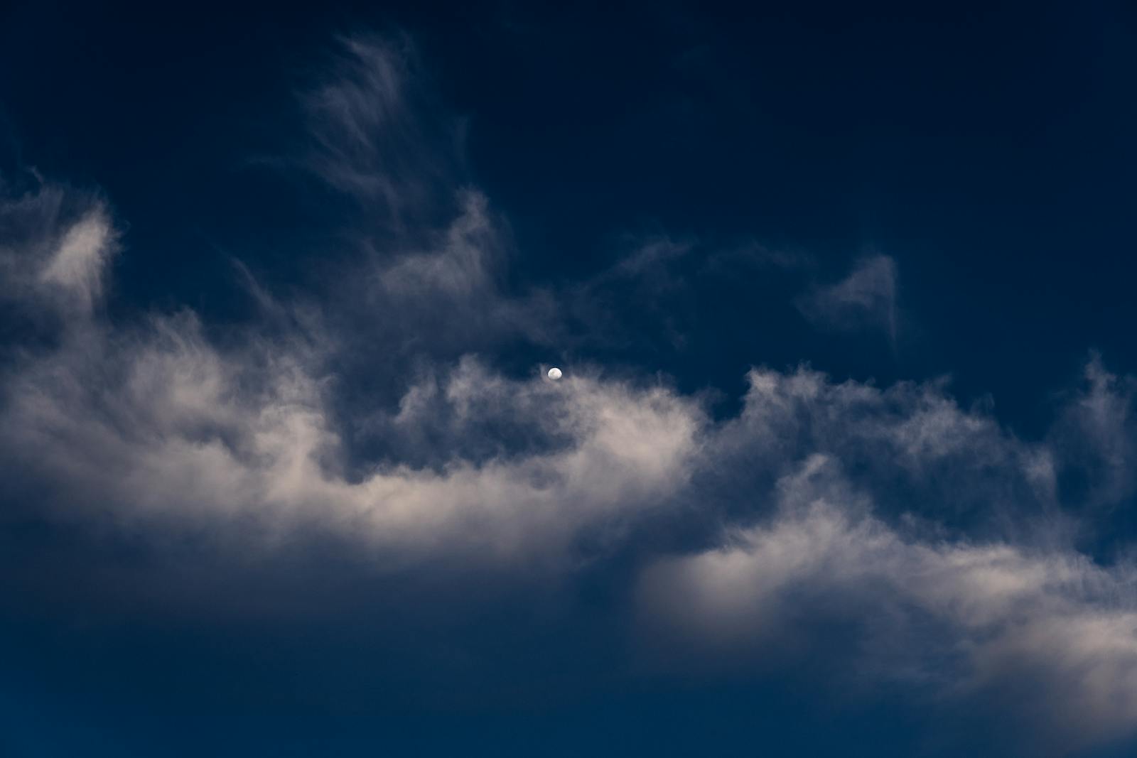 Night Sky Pfp Photos, Download The BEST Free Night Sky Pfp Stock Photos ...