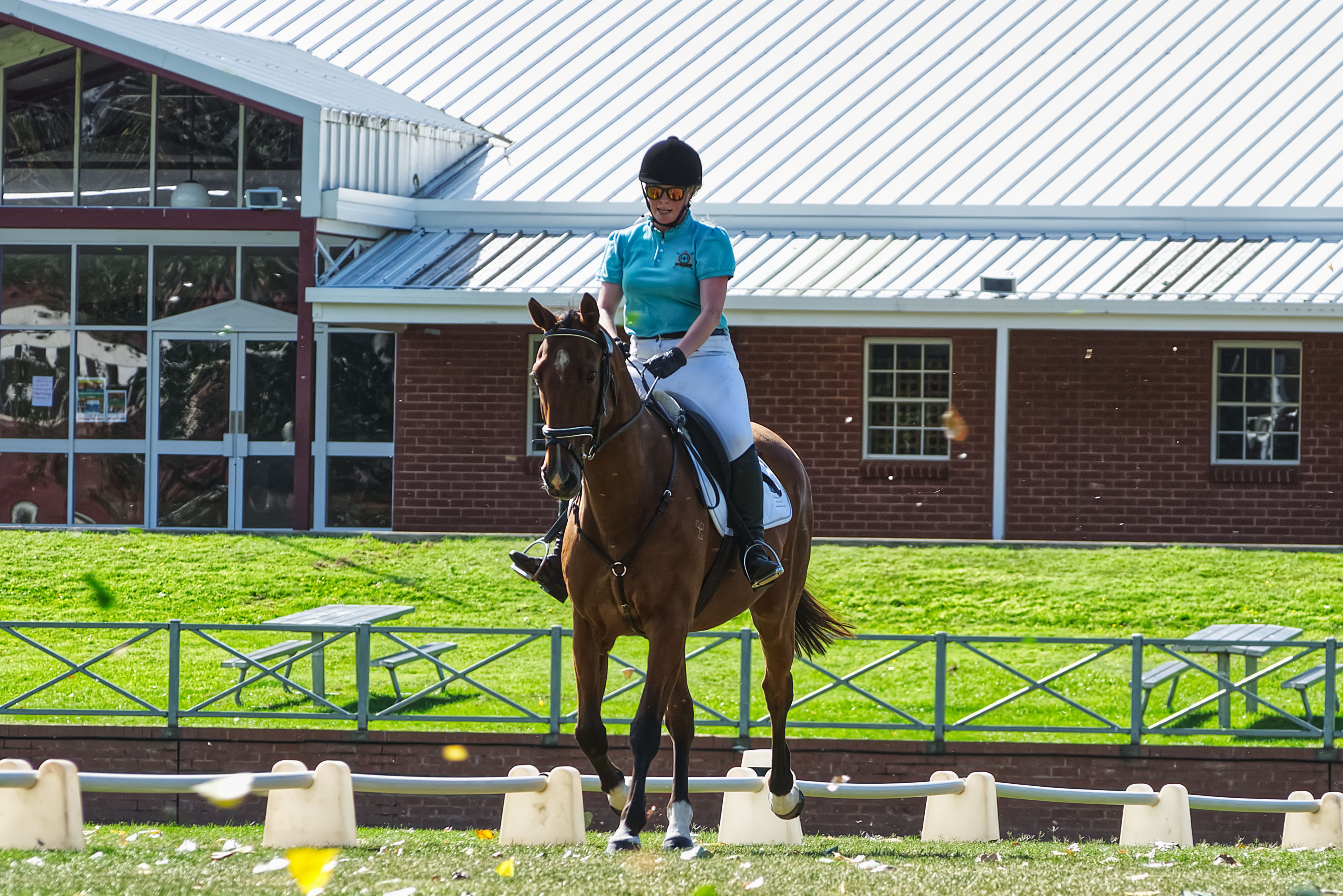 Equestrian Rider Practicing Dressage Outdoors · Free Stock Photo