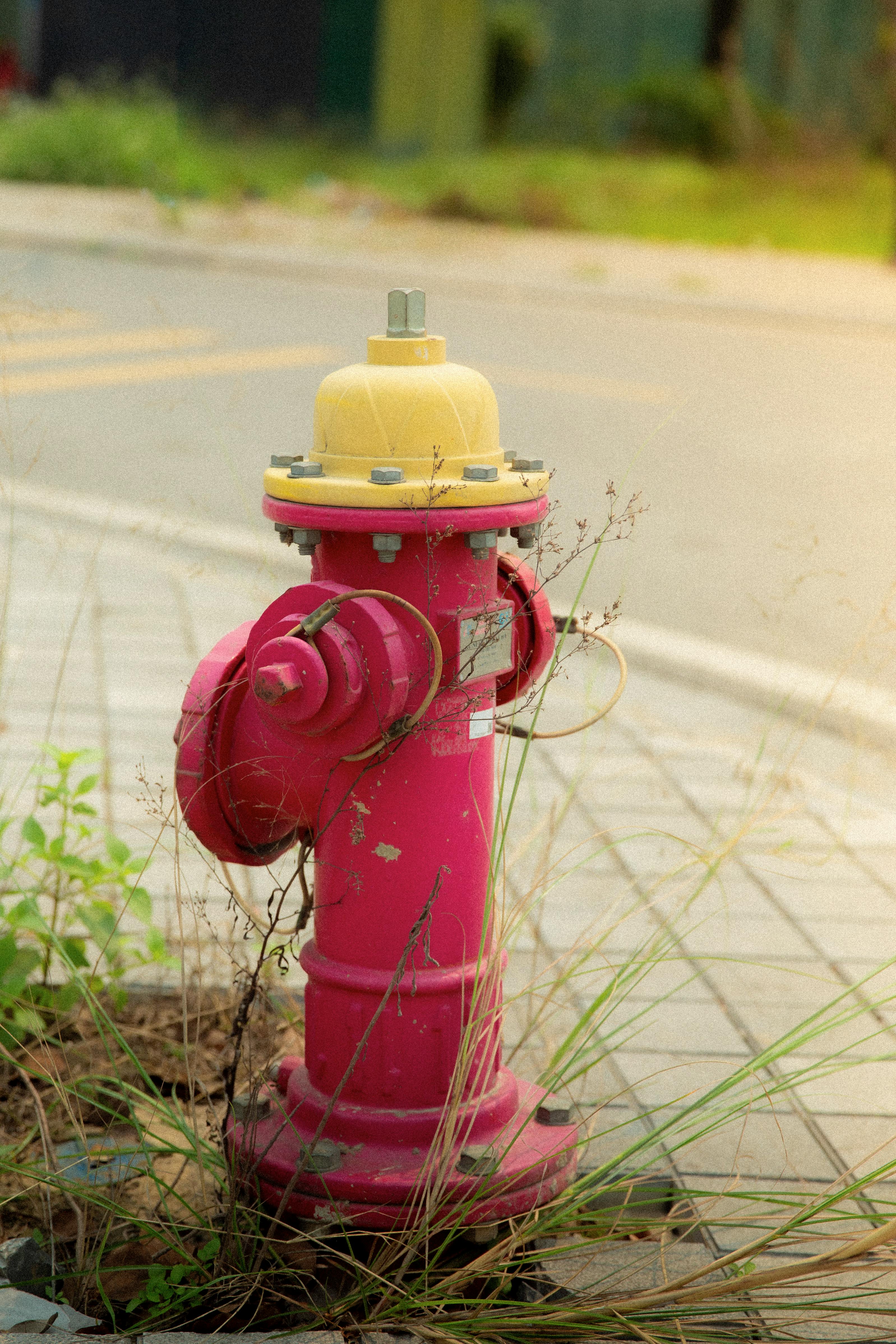 Bright Pink Fire Hydrant on a Sunny Day · Free Stock Photo