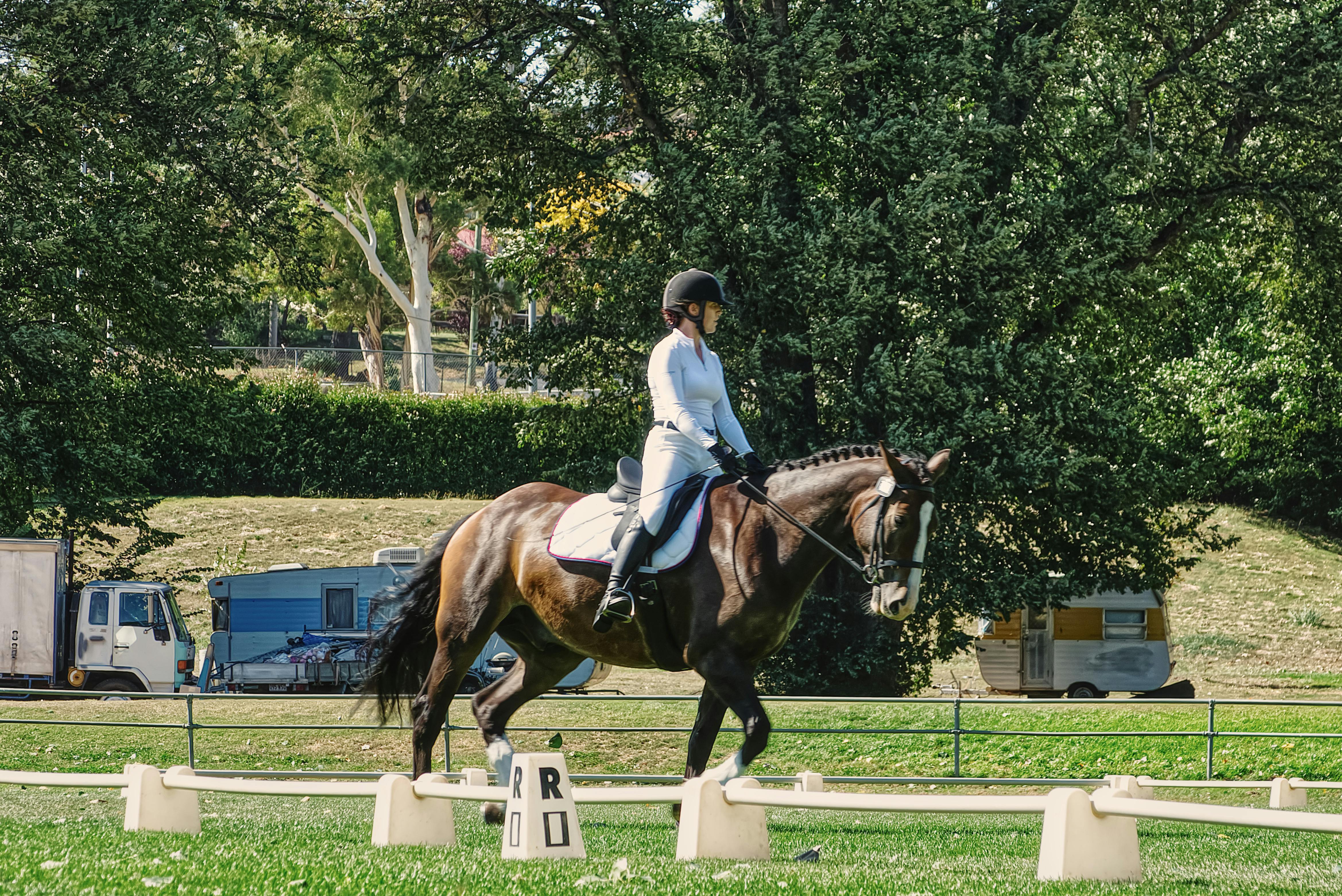 Woman Equestrian Riding Horse Outdoors · Free Stock Photo