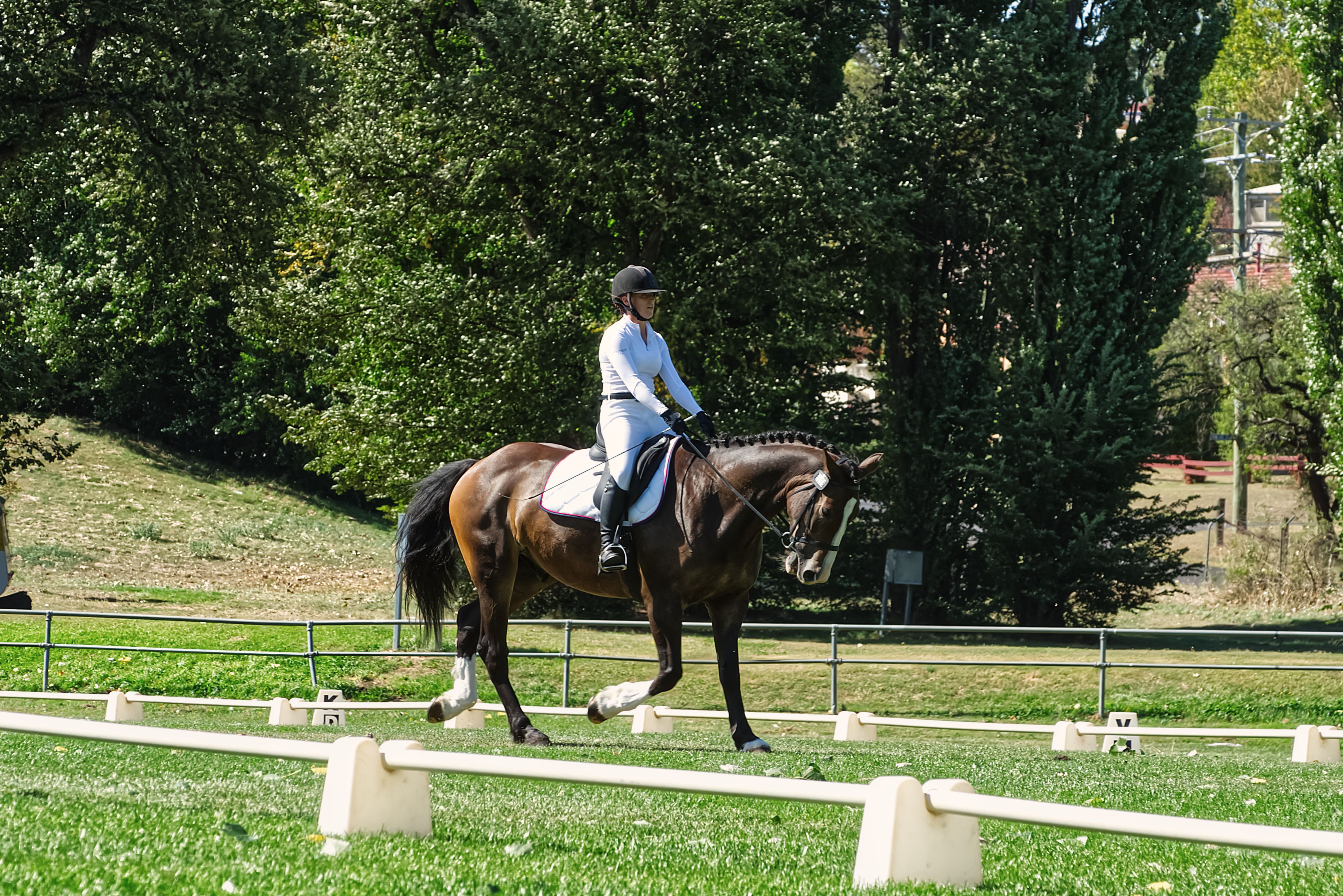 Equestrian Rider Training Dressage Horse Outdoors · Free Stock Photo