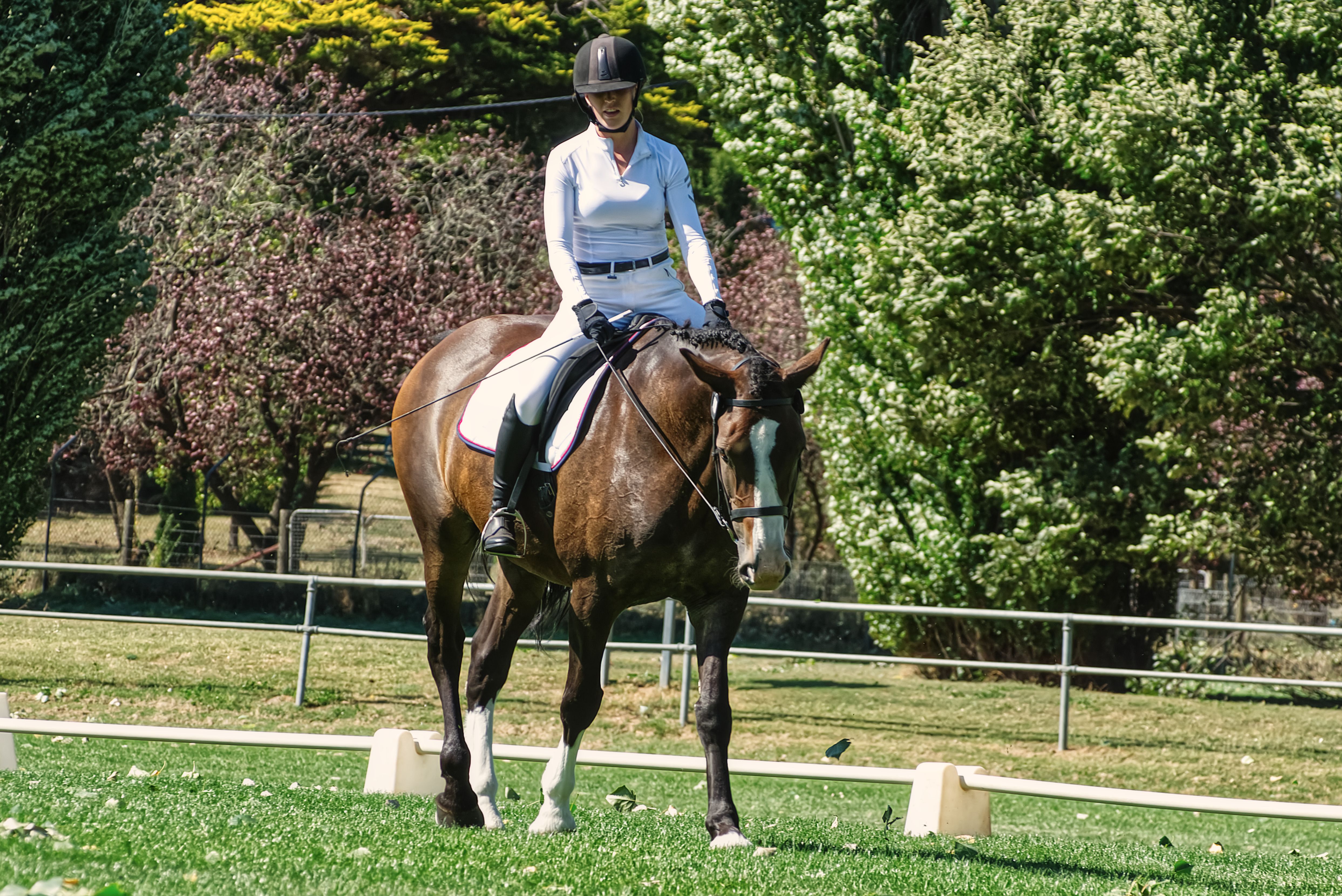 Equestrian Rider Practicing Dressage Outdoors · Free Stock Photo