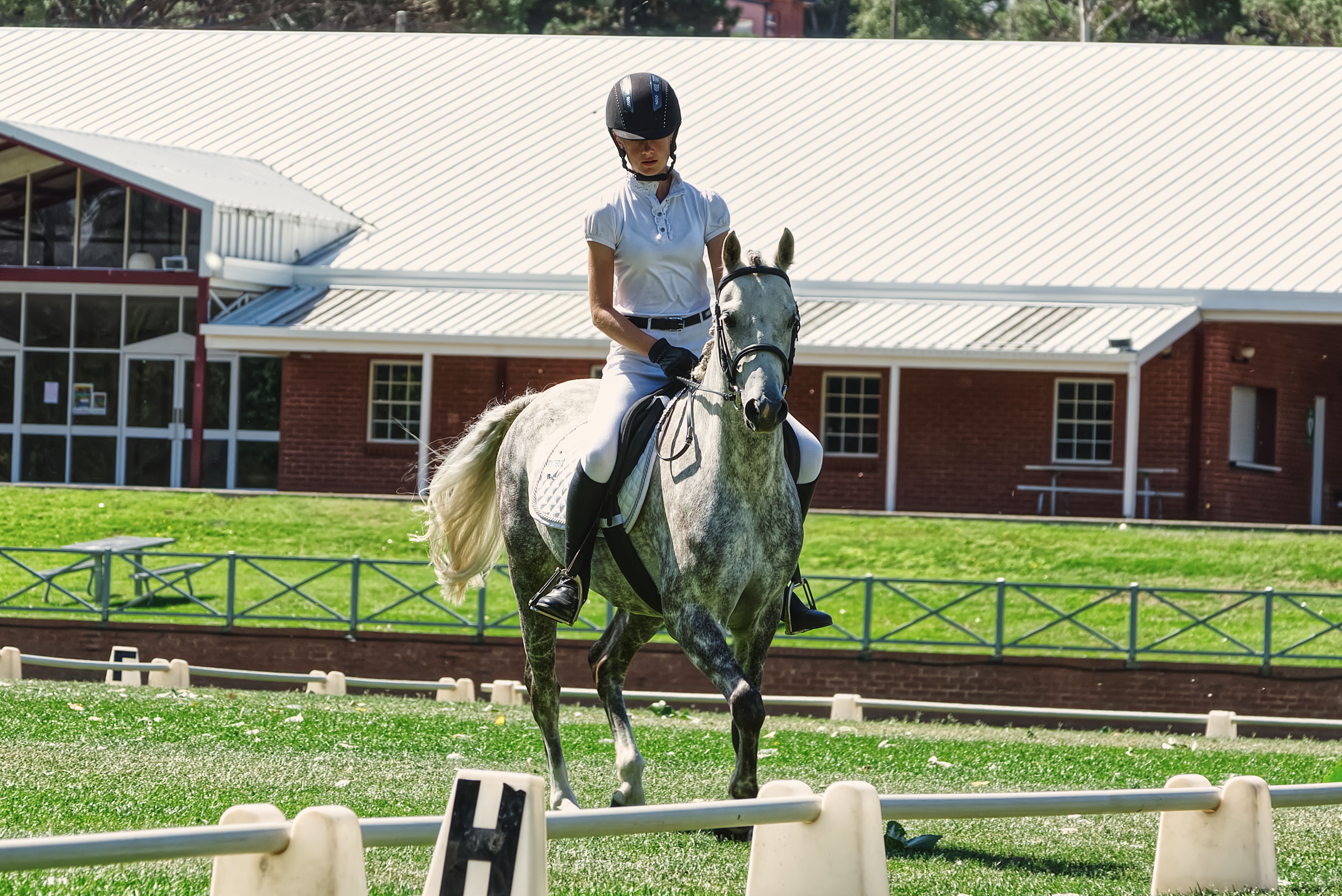 Equestrian Rider on Grey Horse at Outdoor Arena · Free Stock Photo