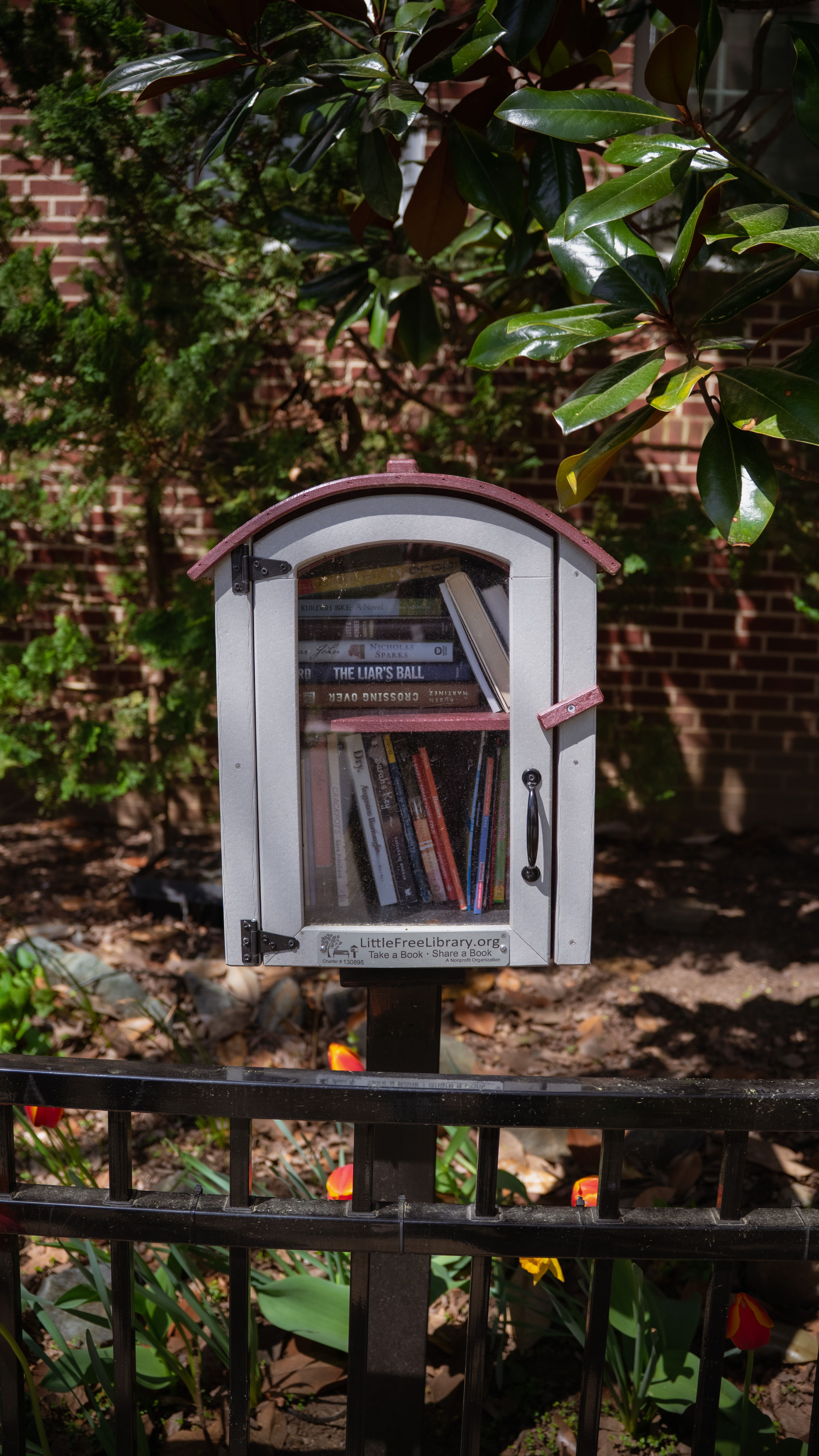Book Exchange Photos, Download The BEST Free Book Exchange Stock Photos ...
