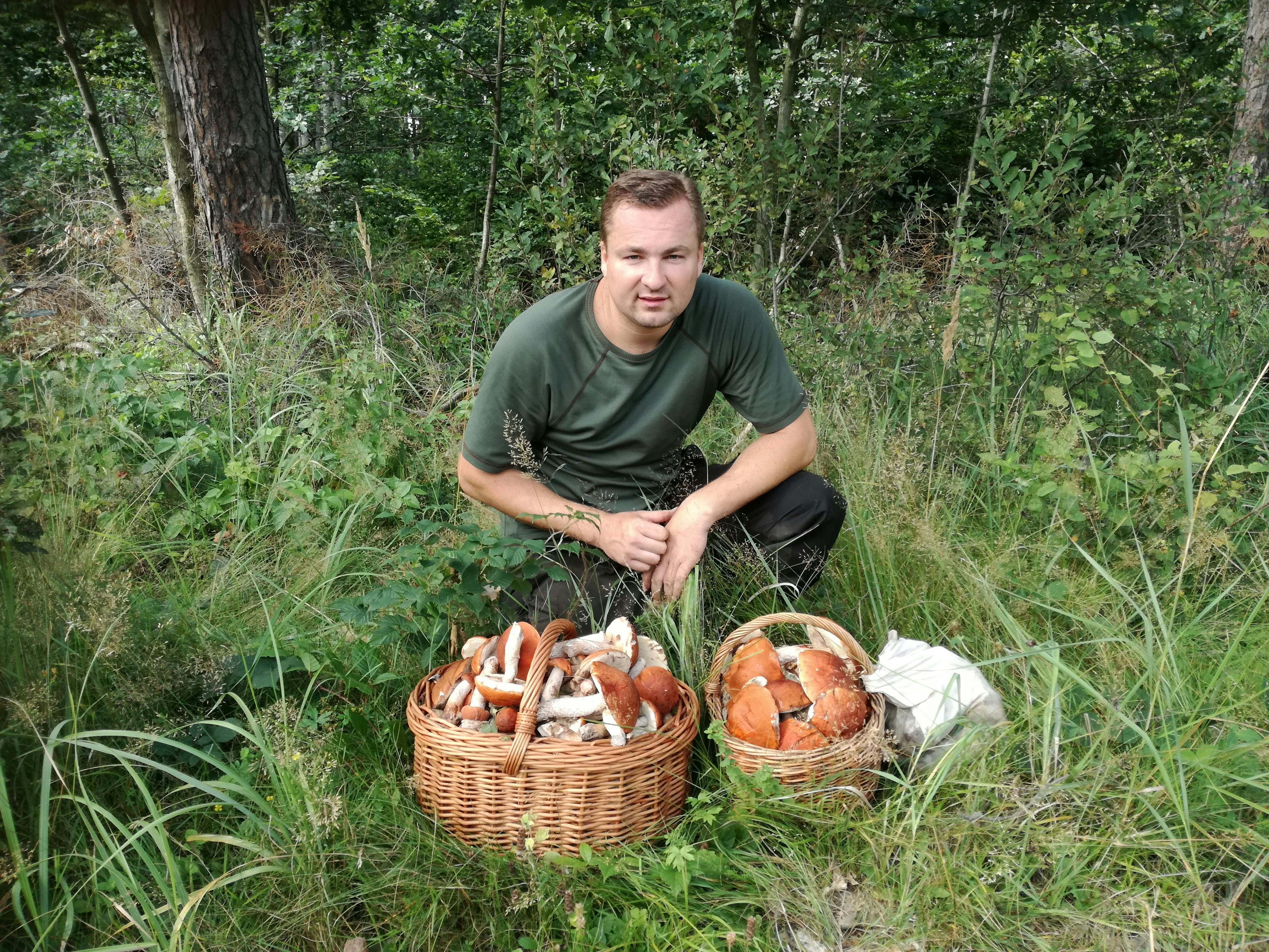 Man Foraging Wild Mushrooms in Forest · Free Stock Photo