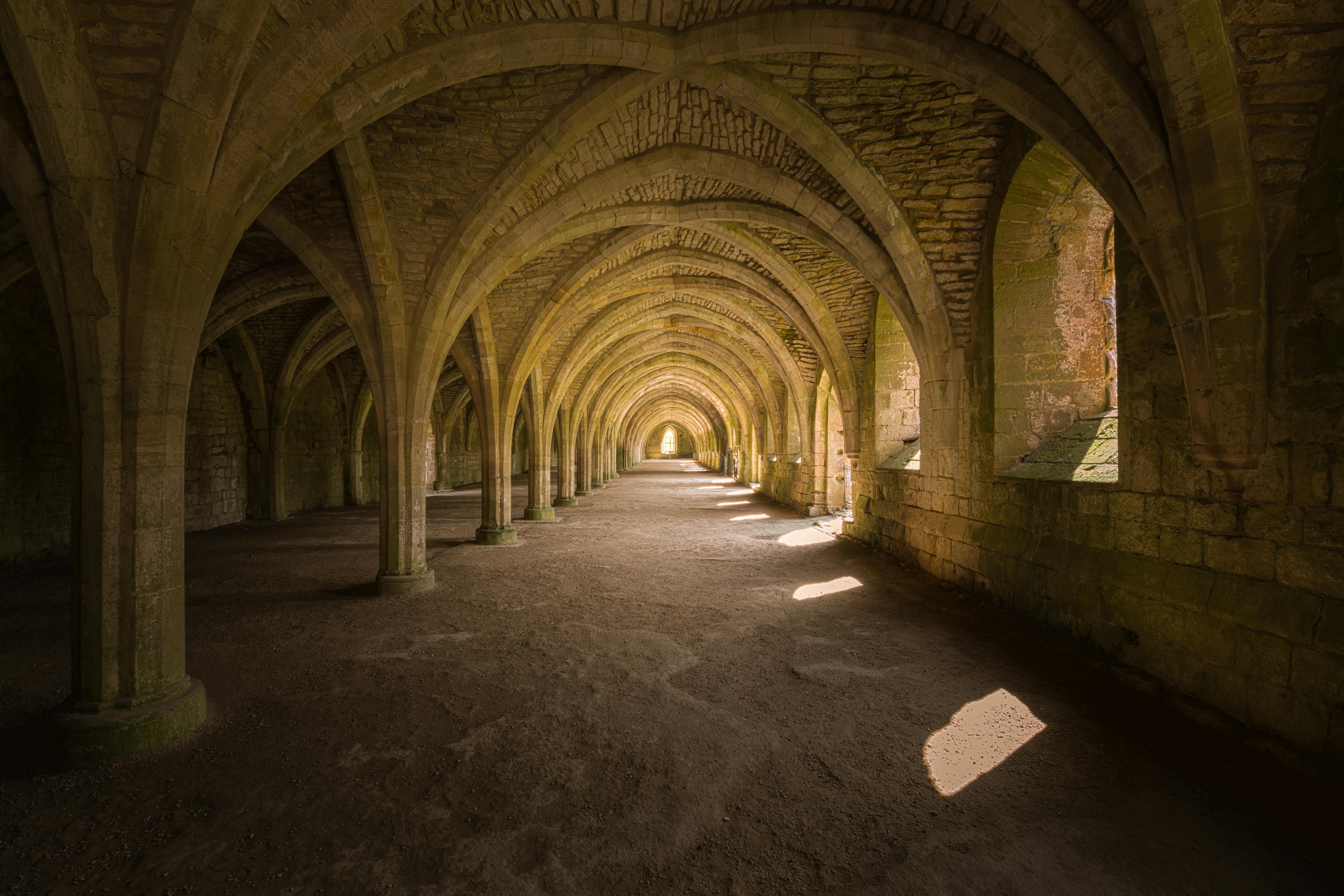 Cellarium Photos, Download The BEST Free Cellarium Stock Photos & HD Images