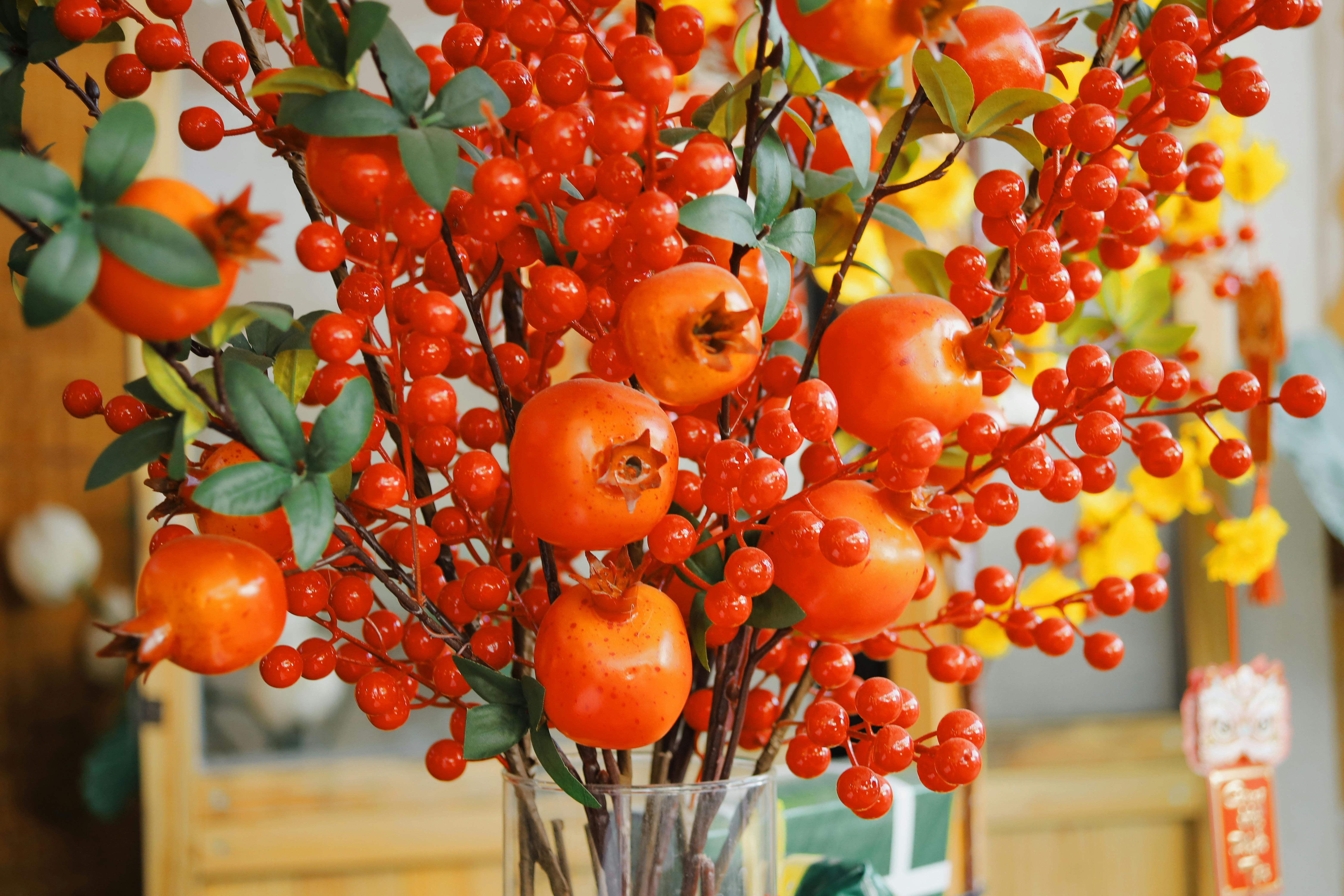 Vibrant Persimmon and Berry Arrangement in Vase · Free Stock Photo
