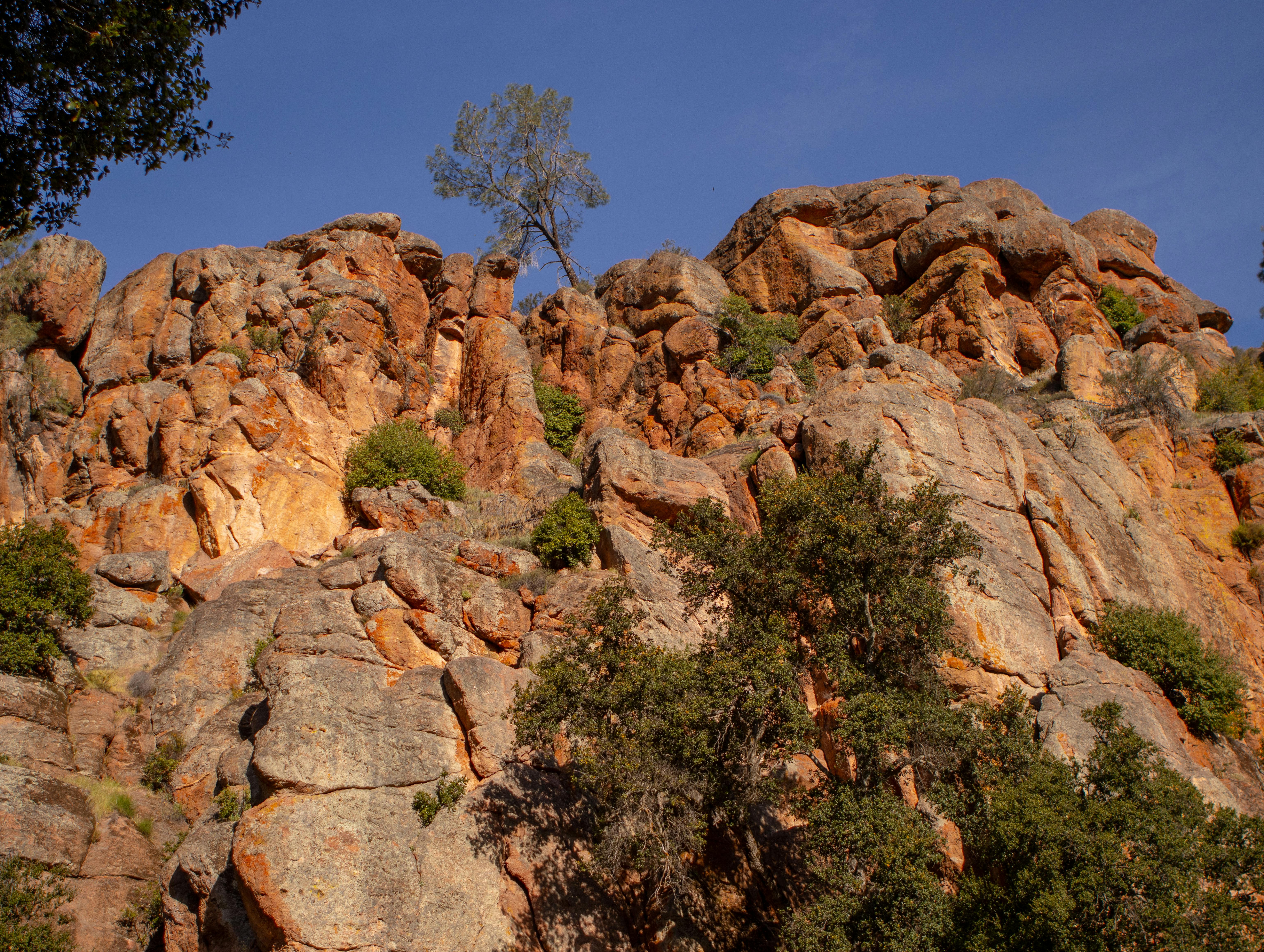 Stunning Rock Formation in Pinnacles National Park · Free Stock Photo