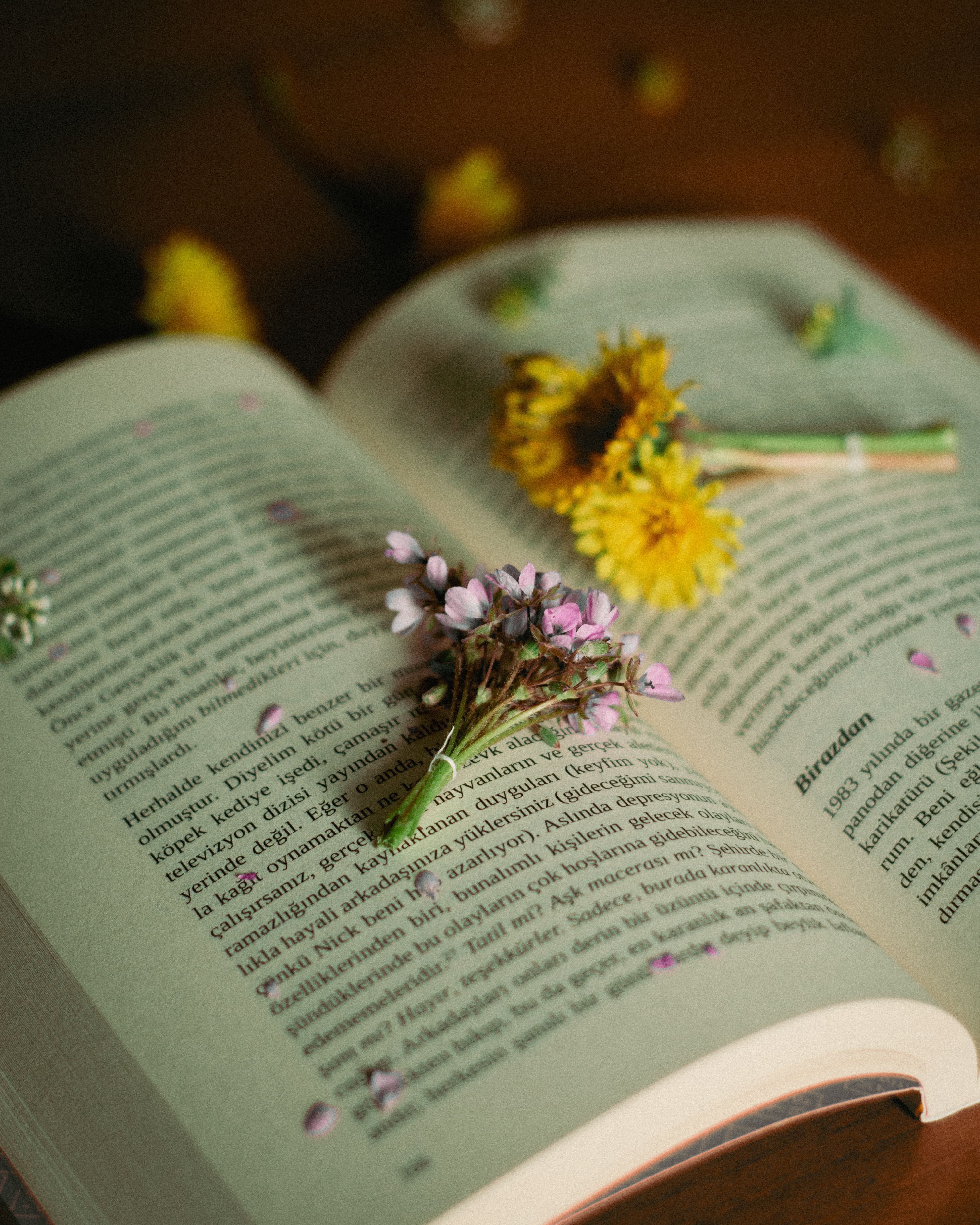 Open Book with Flowers on Pages in Spring · Free Stock Photo