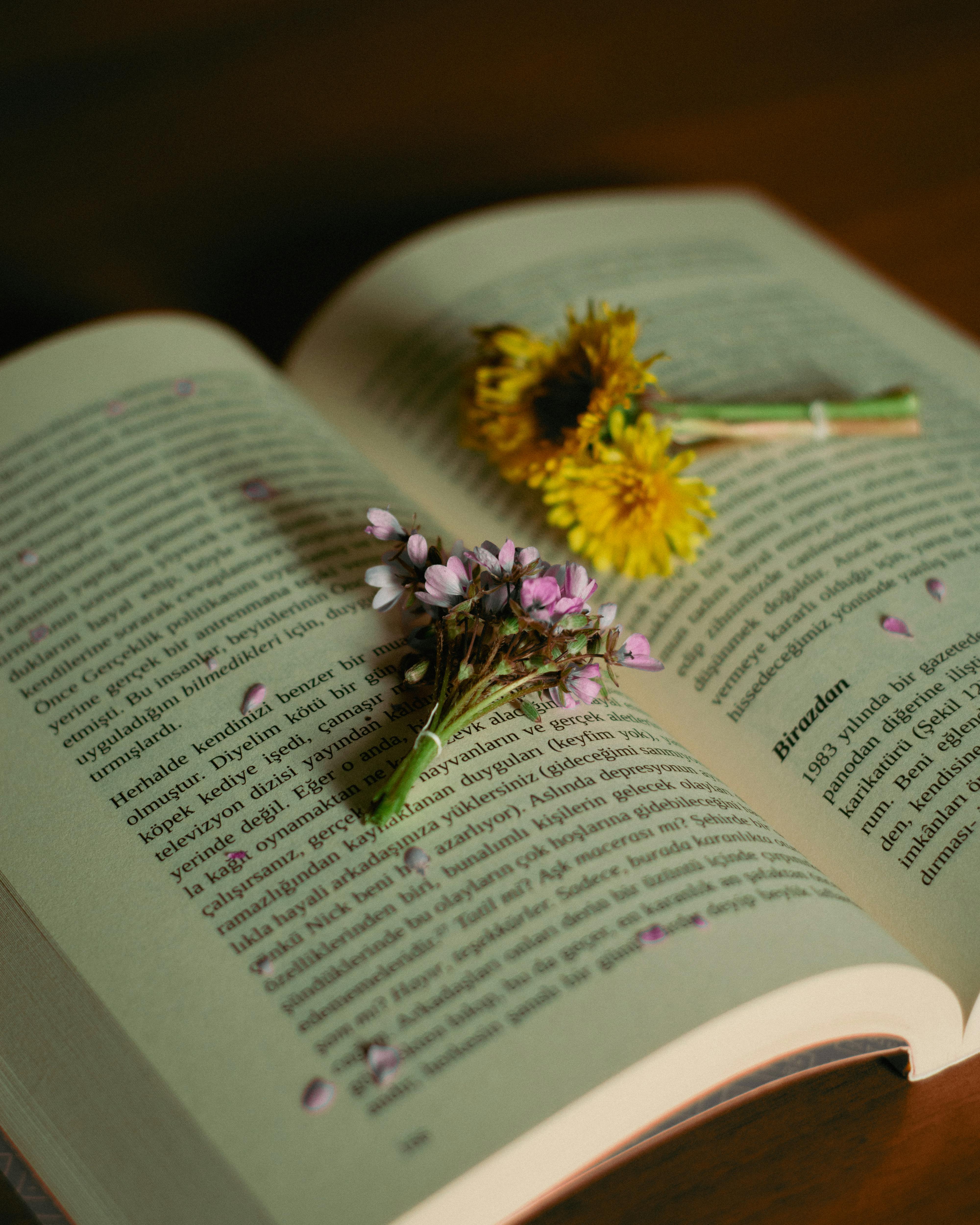 Open Book with Flowers and Petals · Free Stock Photo