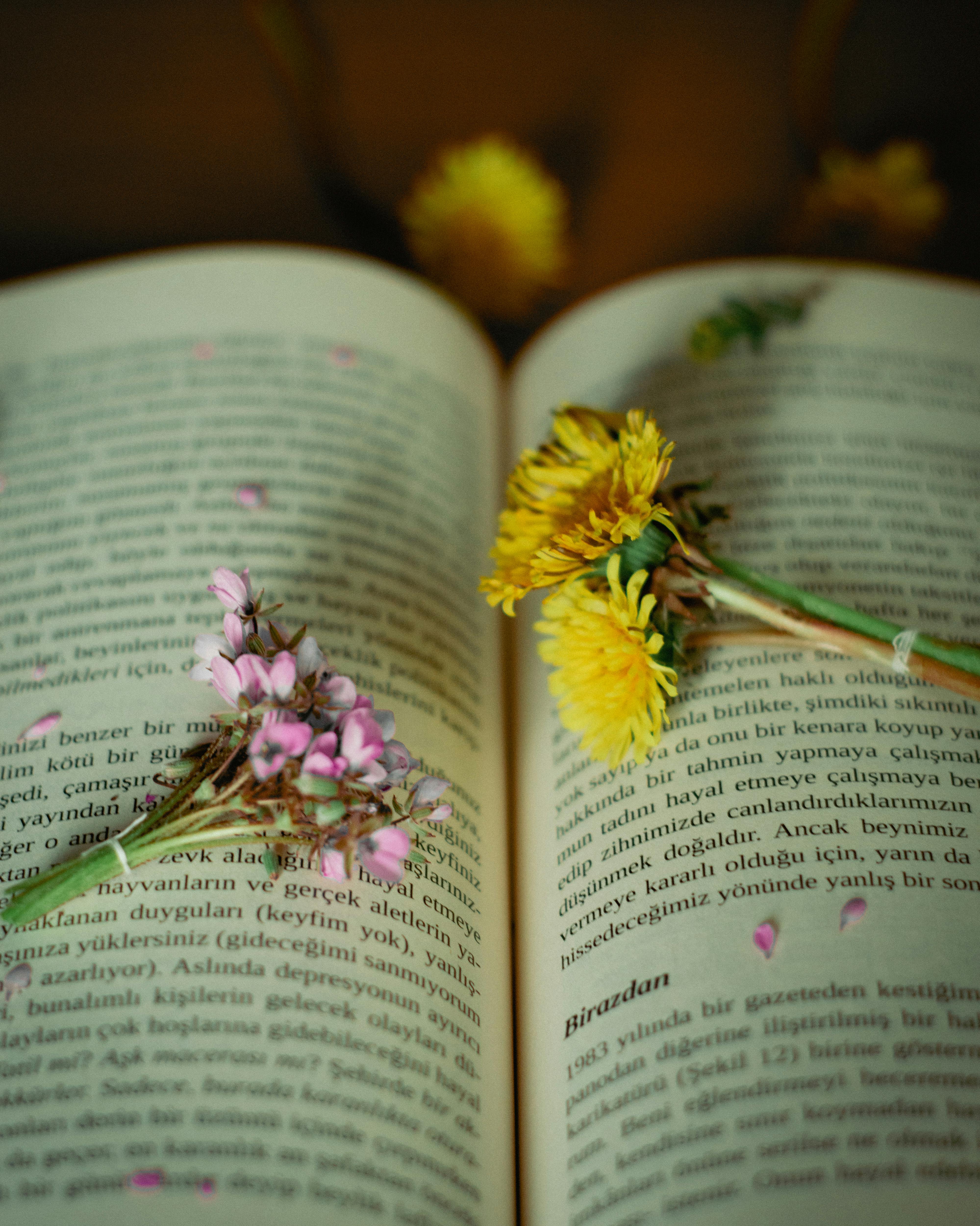 Open Book with Flowers in Springtime · Free Stock Photo