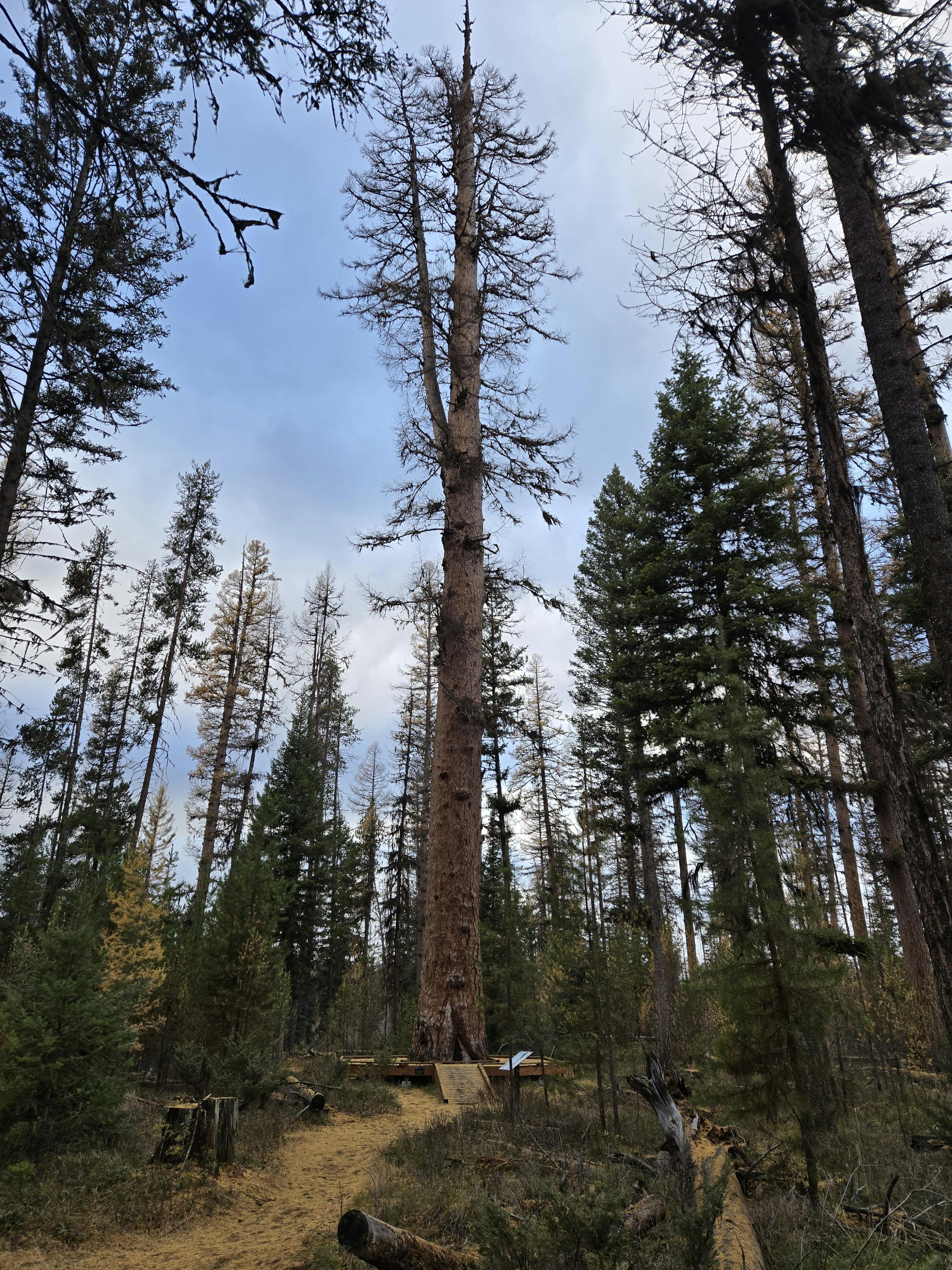 Hdb Reservation Photos, Download The BEST Free Hdb Reservation Stock ...