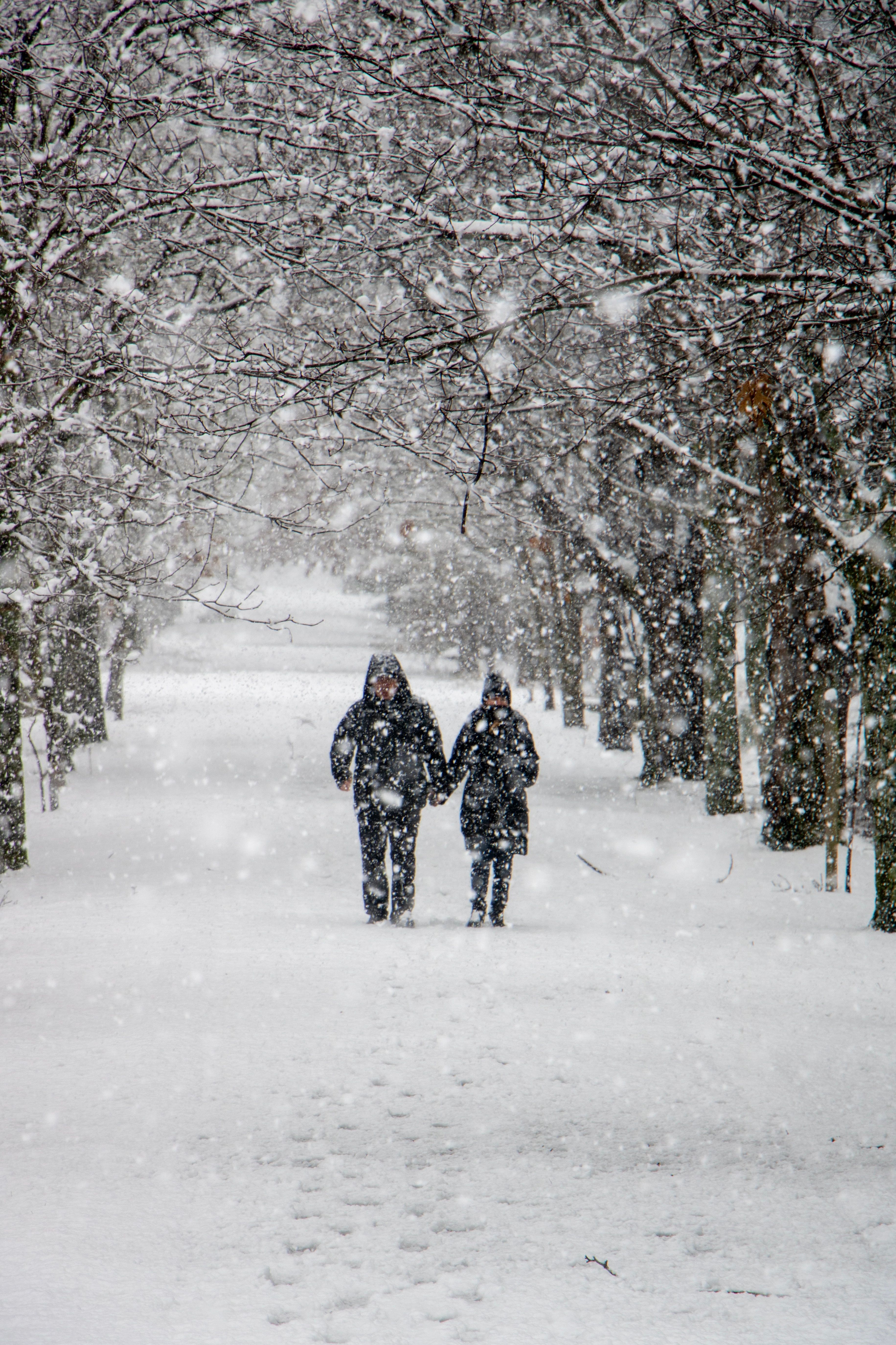 Couple Snowfall Photos, Download The BEST Free Couple Snowfall Stock ...