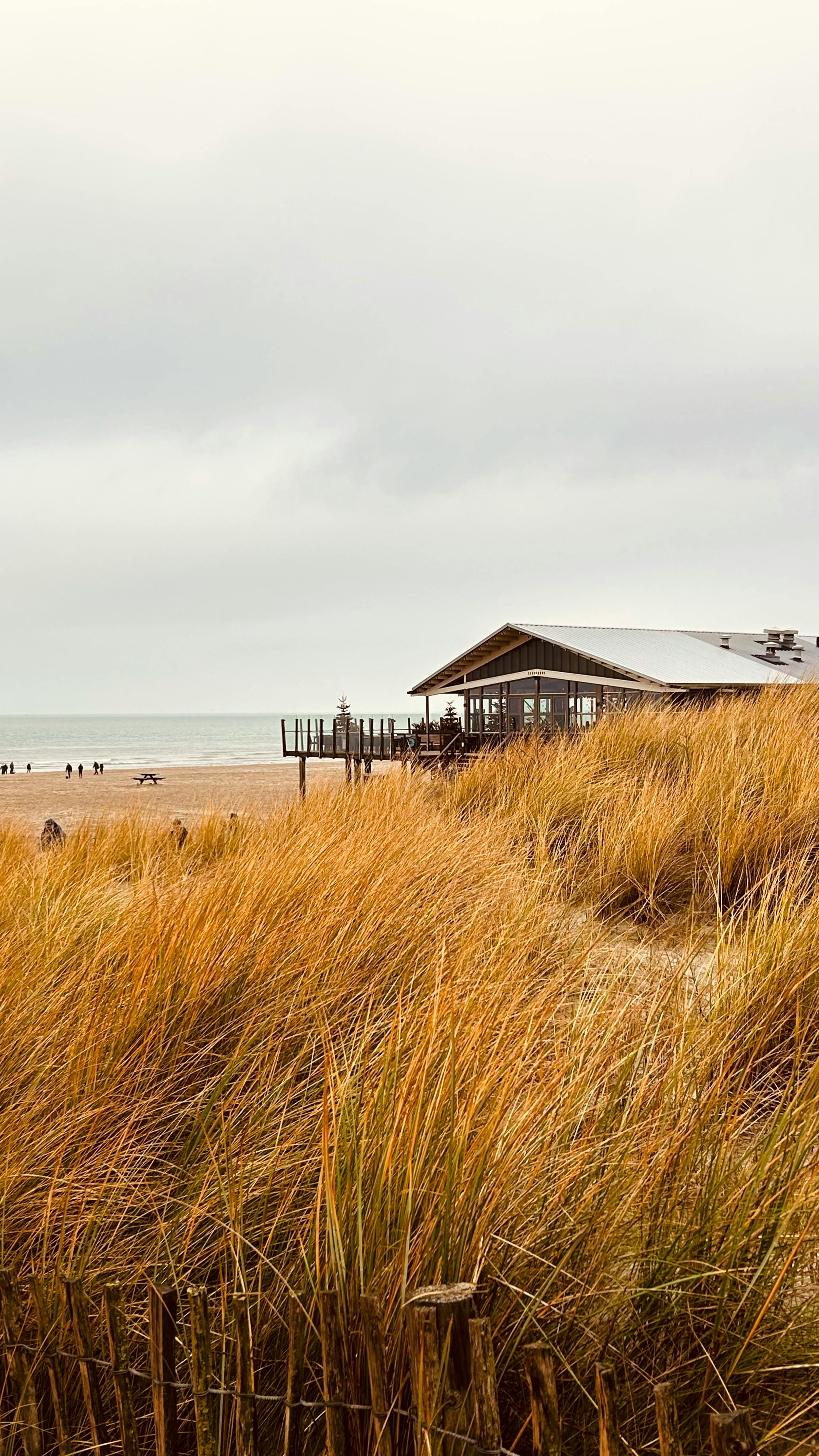 Scenic Beach House Amidst Tall Grass in Ouddorp · Free Stock Photo