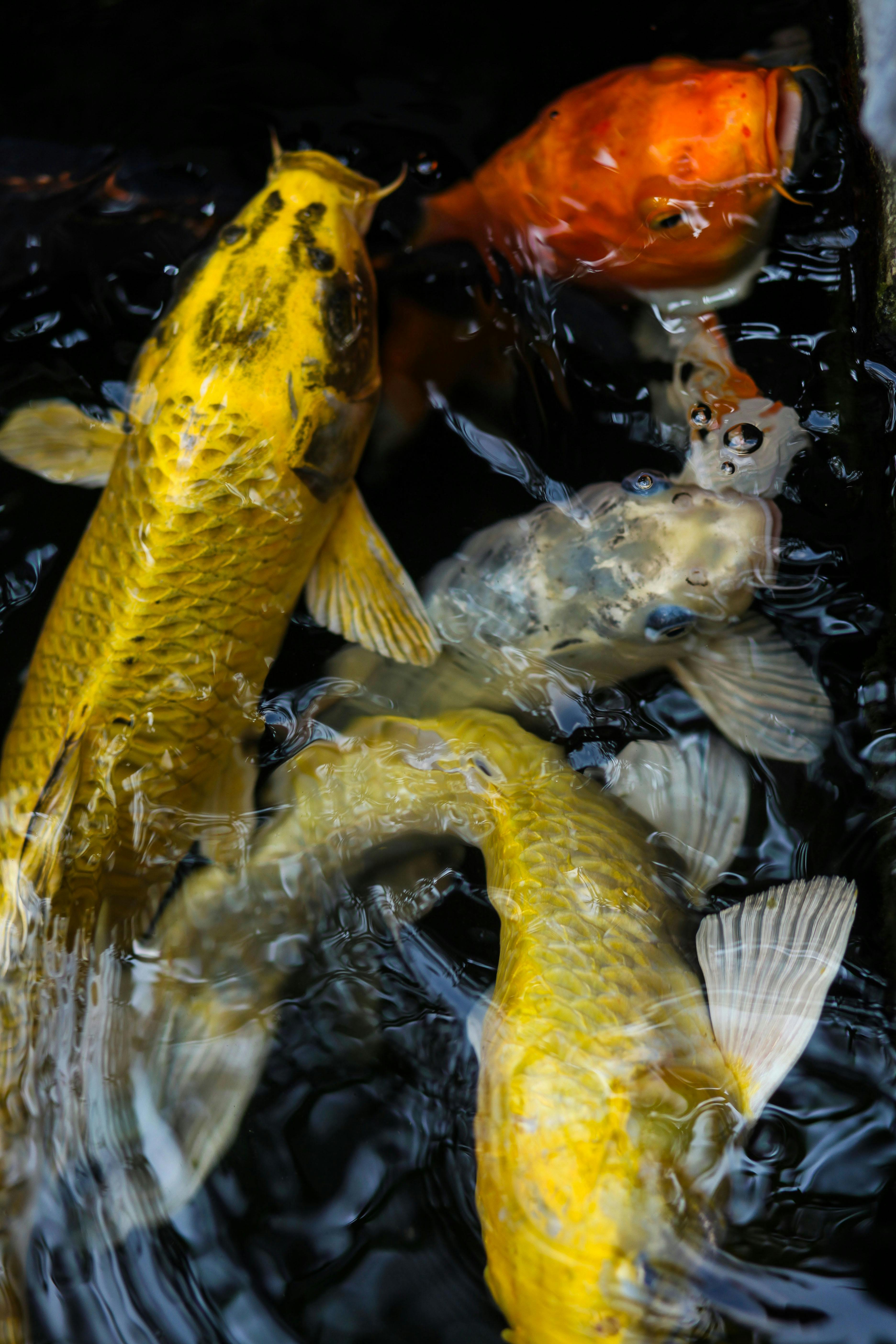 Colourful Reflections Photos, Download The BEST Free Colourful ...