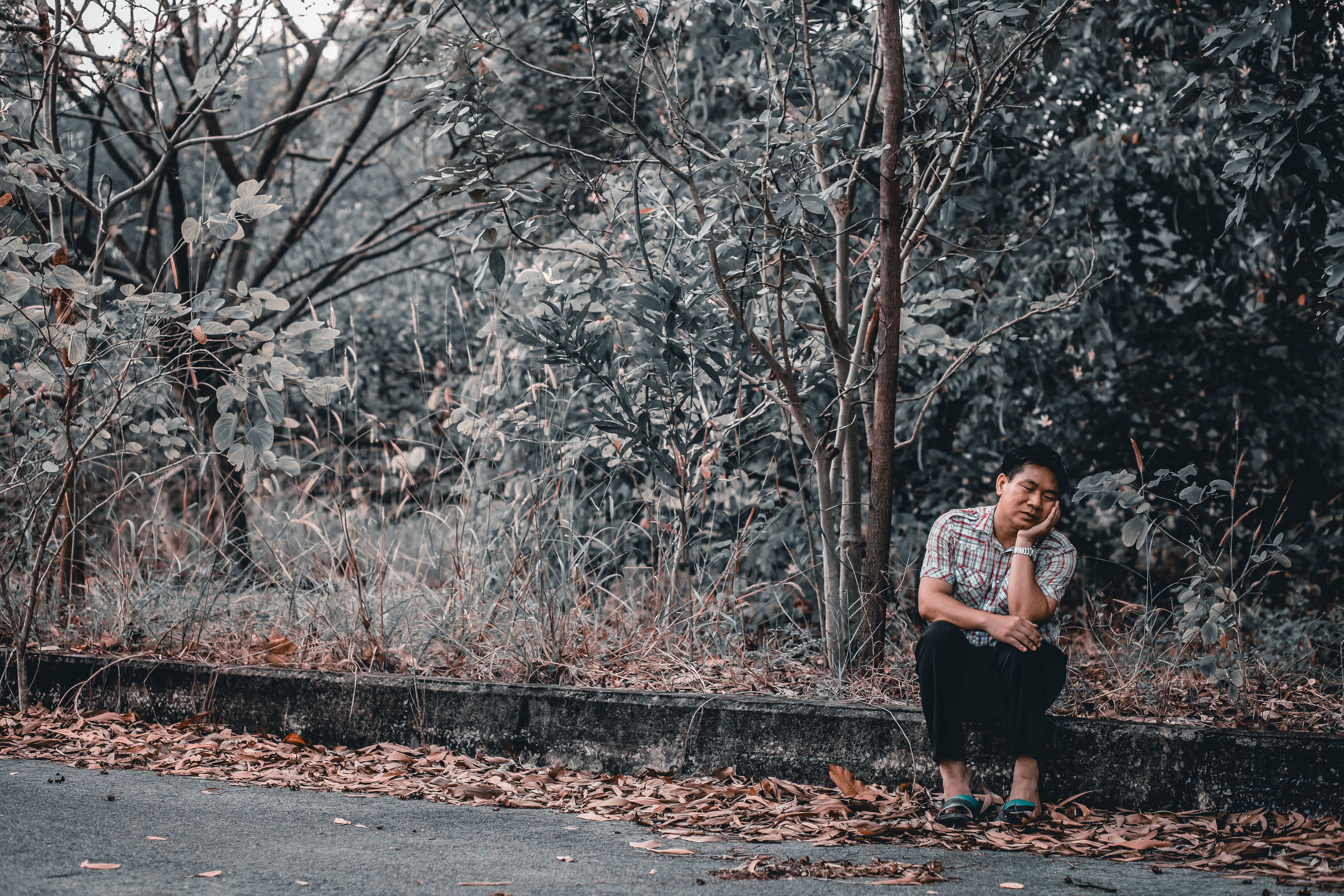 Pensive Man Sitting in Quiet Forest Area · Free Stock Photo