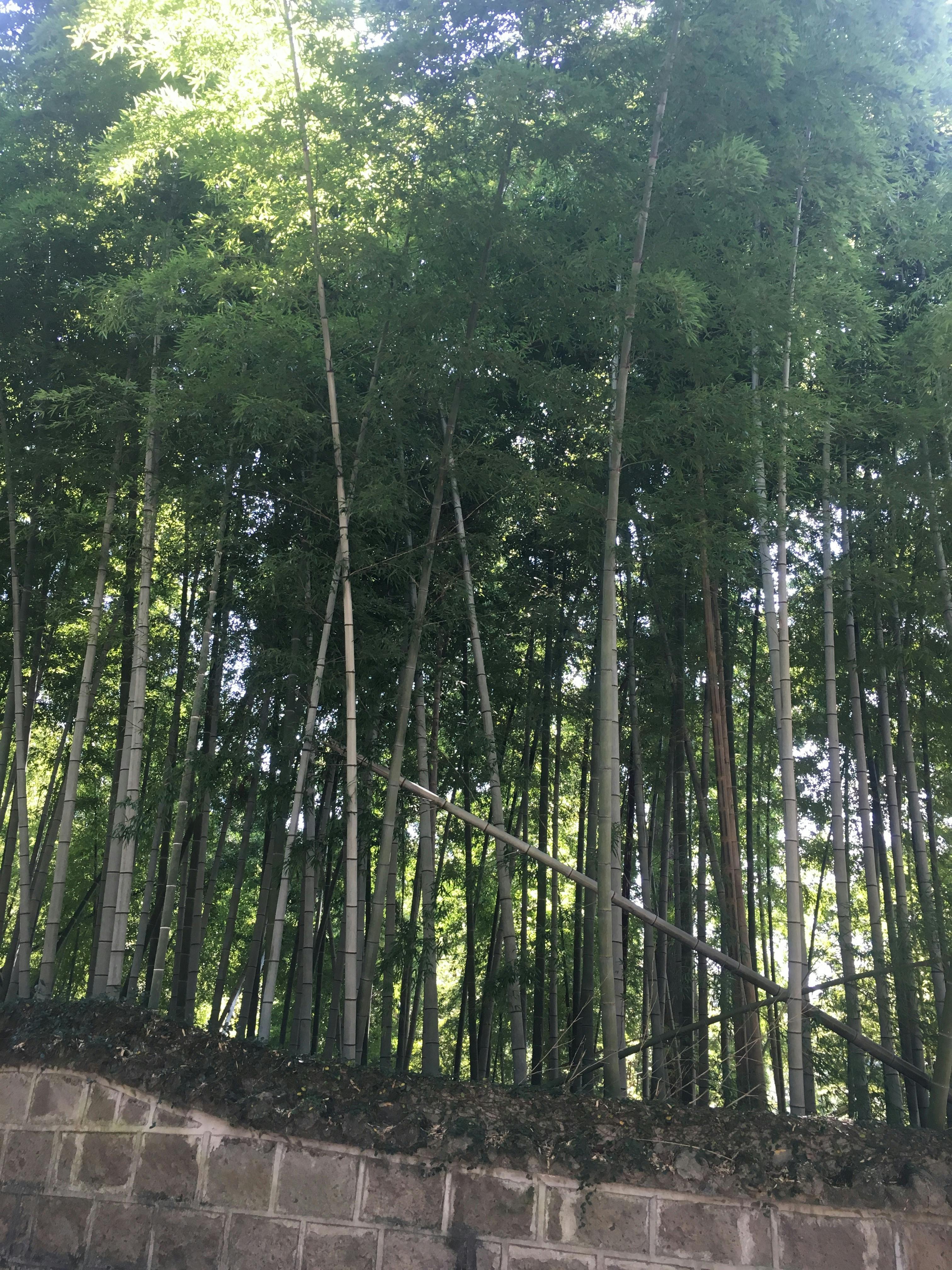 Judd Sugay · Photography