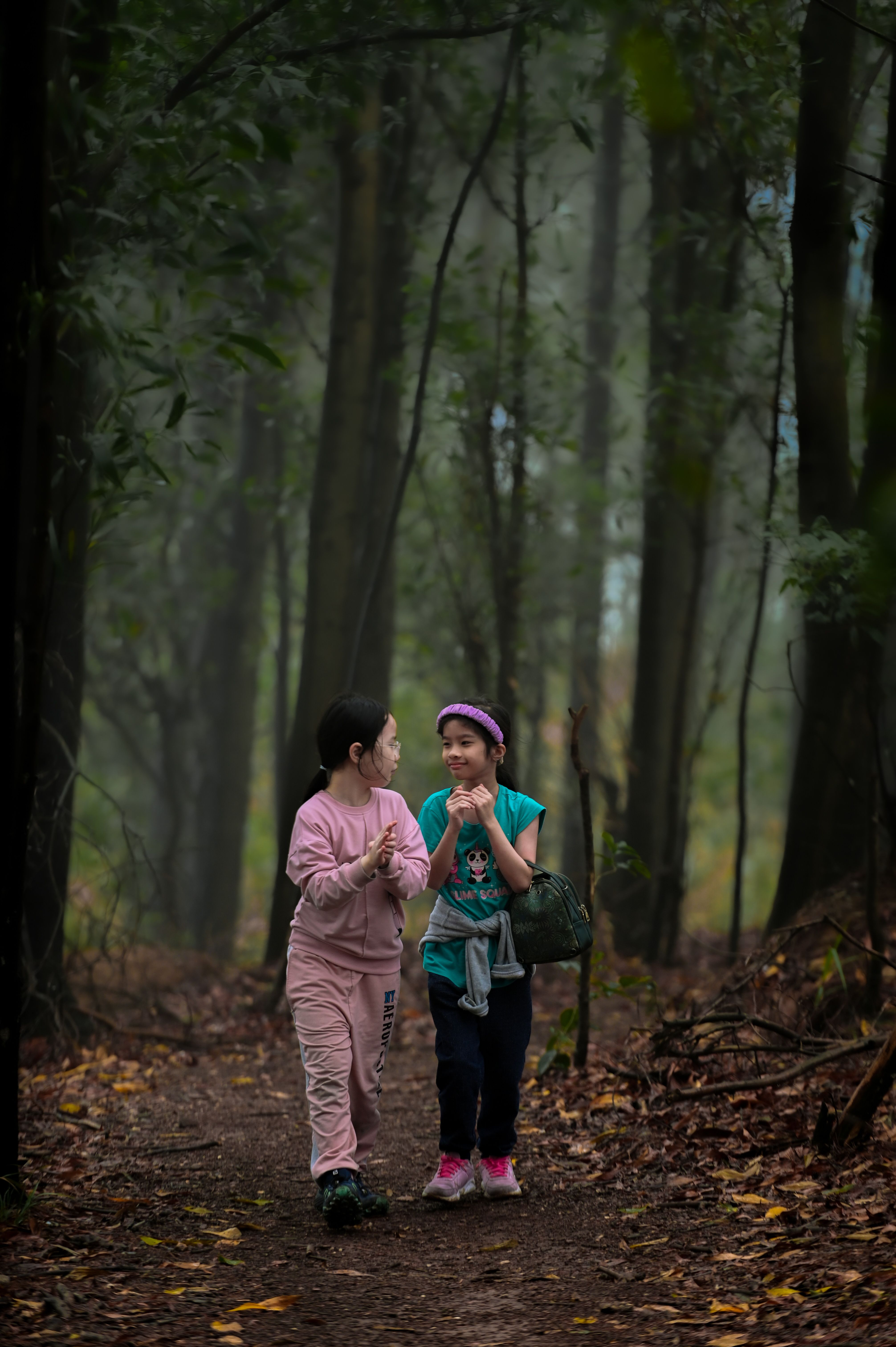 Talking And Walking Photos, Download The BEST Free Talking And Walking ...